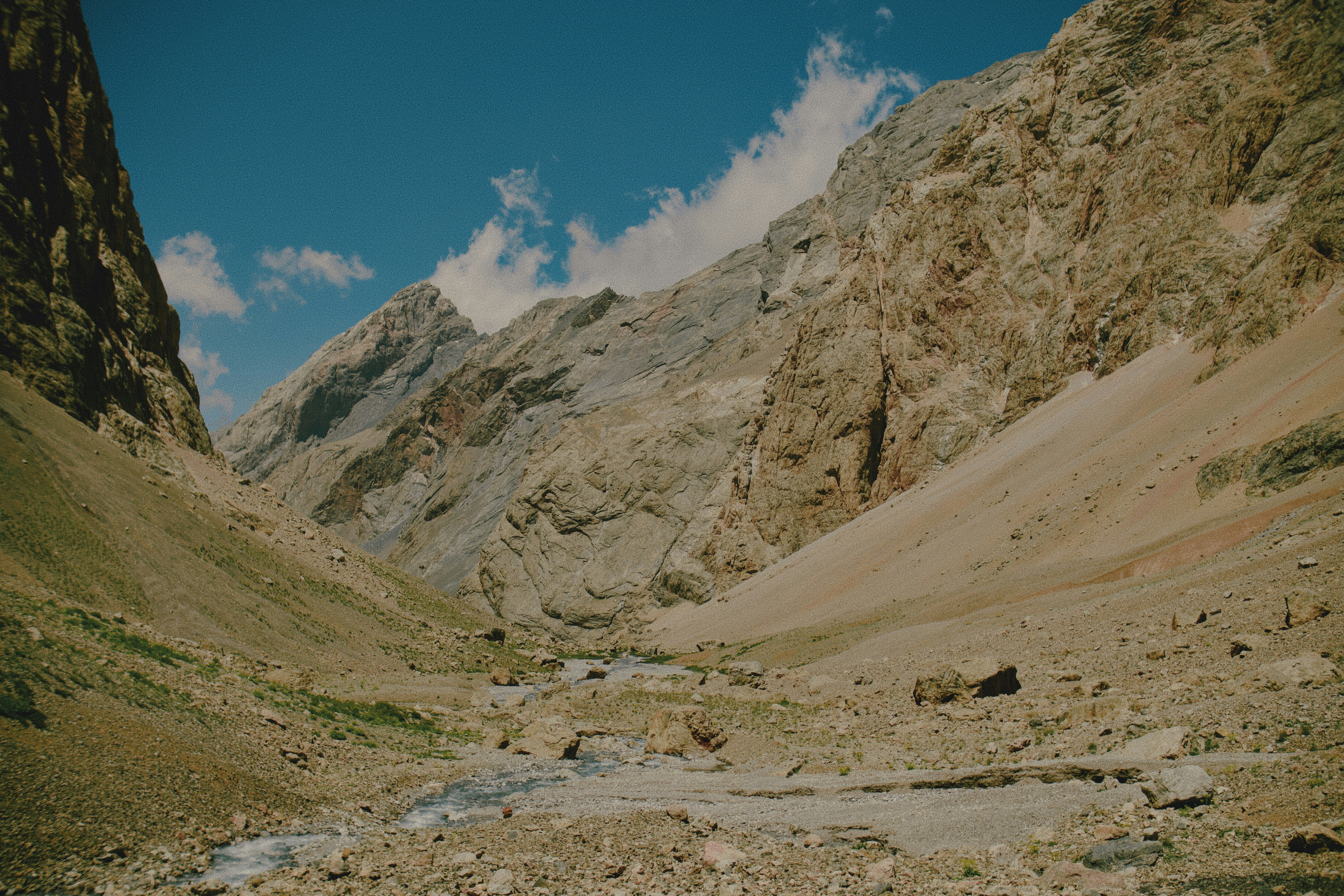 Valley Floor Confluence Under Alpine Peaks