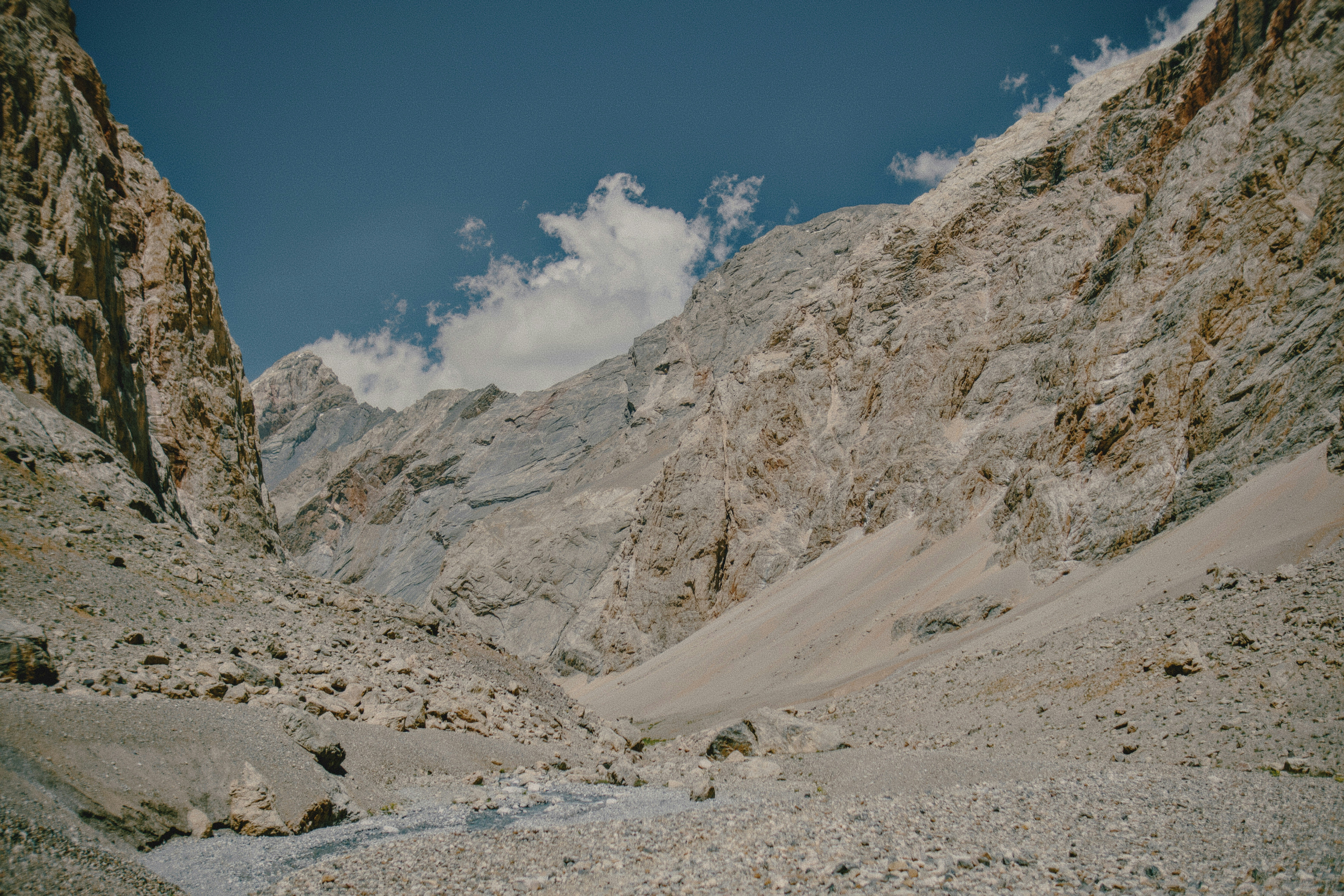 Triumphant Passage Through a Rugged Alpenglade
