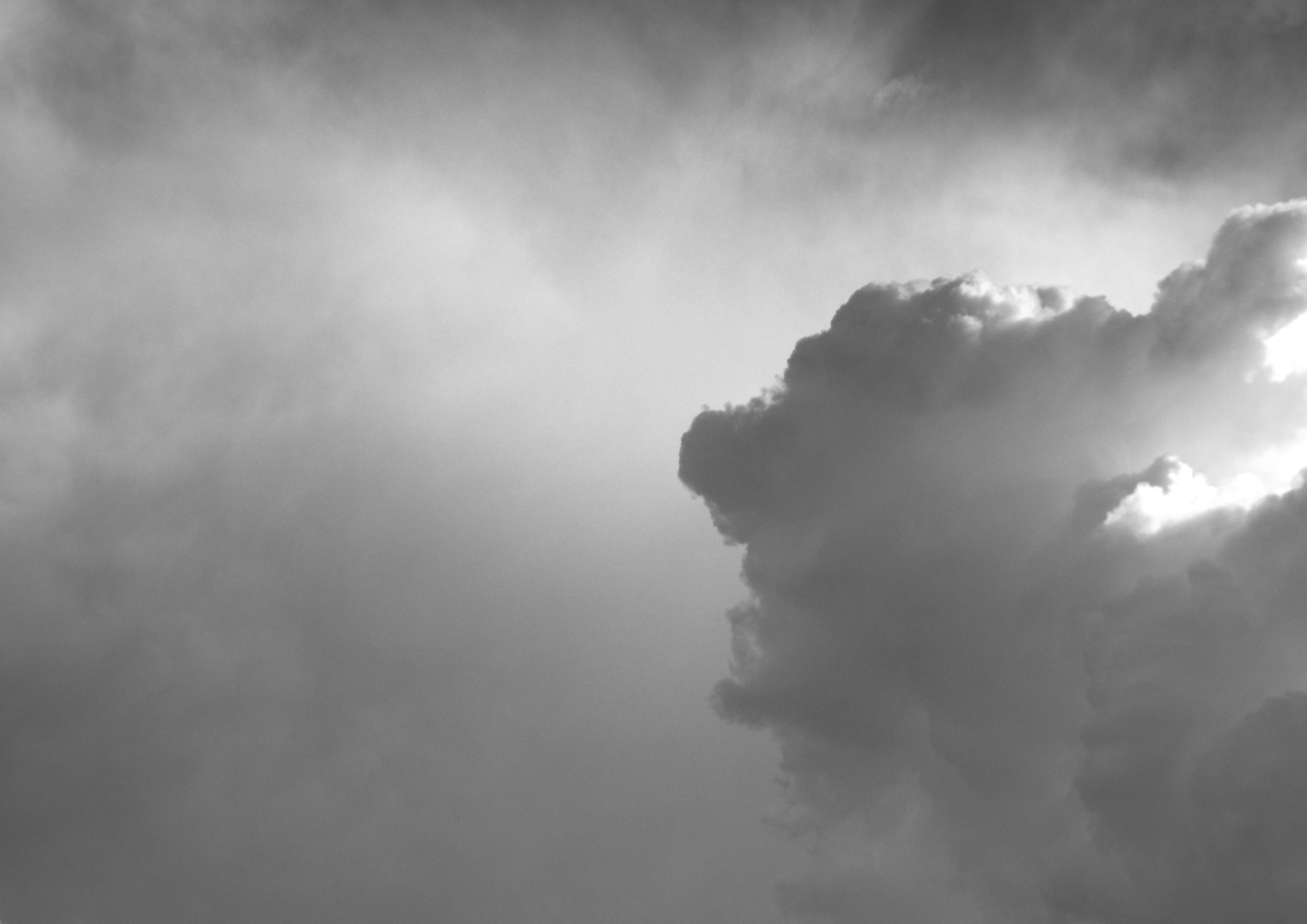 Storm Portrait: The Rising Cumulus silhouette