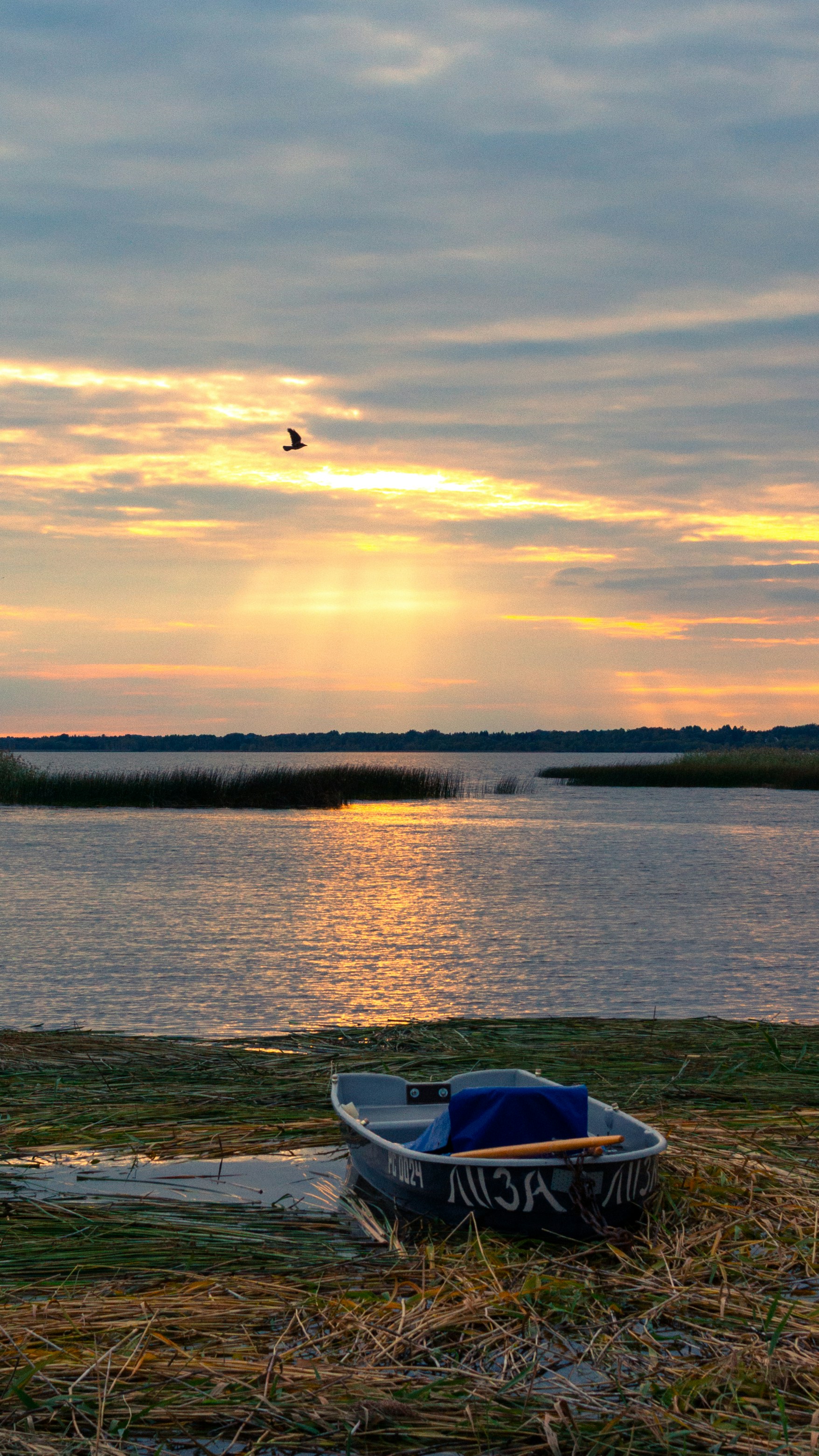 Sunbeams over a Quiet Wetland, A Small Boat Resting on Shore