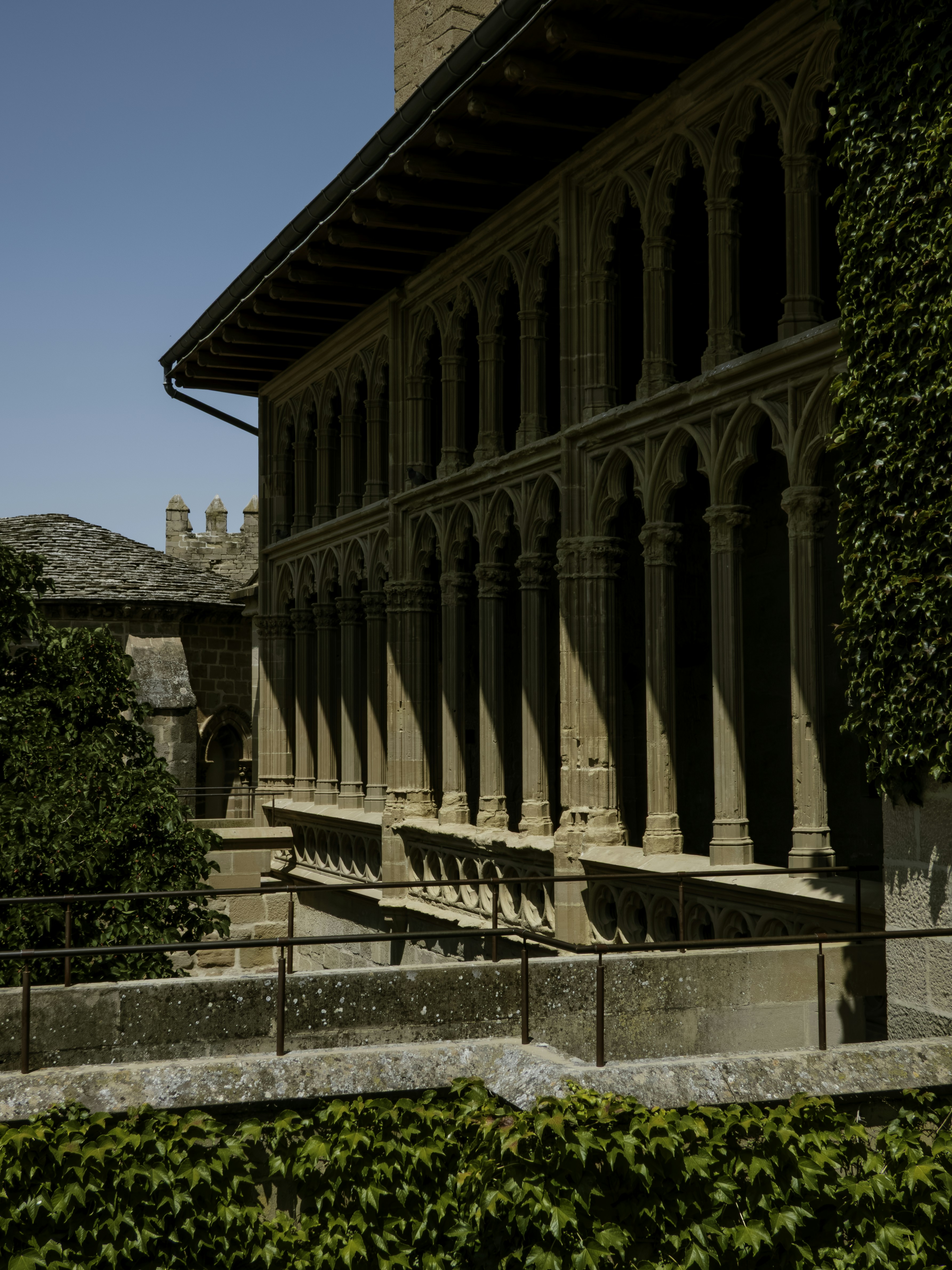 Sunlit Cloisters: Arches and Ivy in Quiet Stone