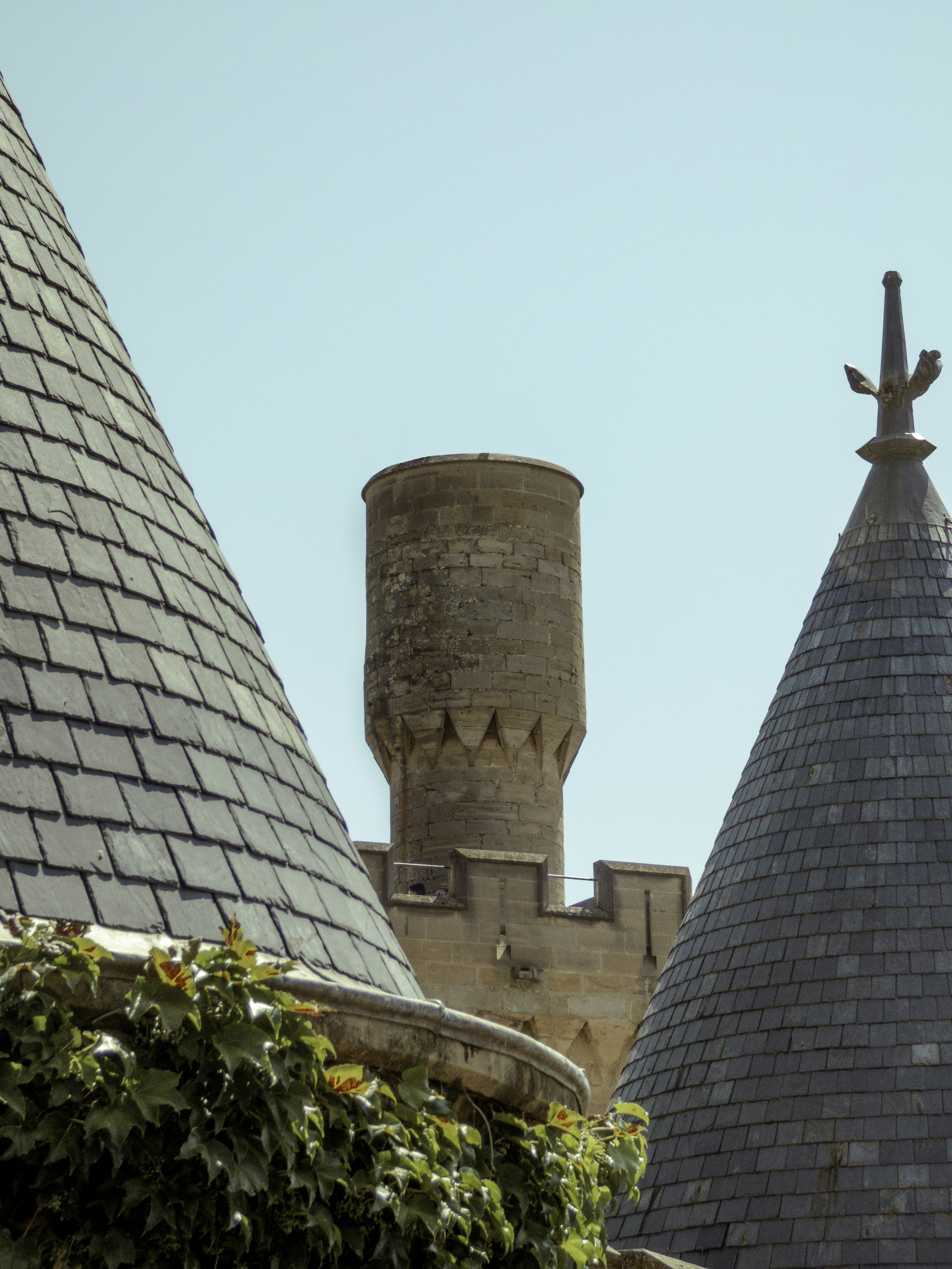 Castle Turret Silhouette Between Slate-roofed Cones