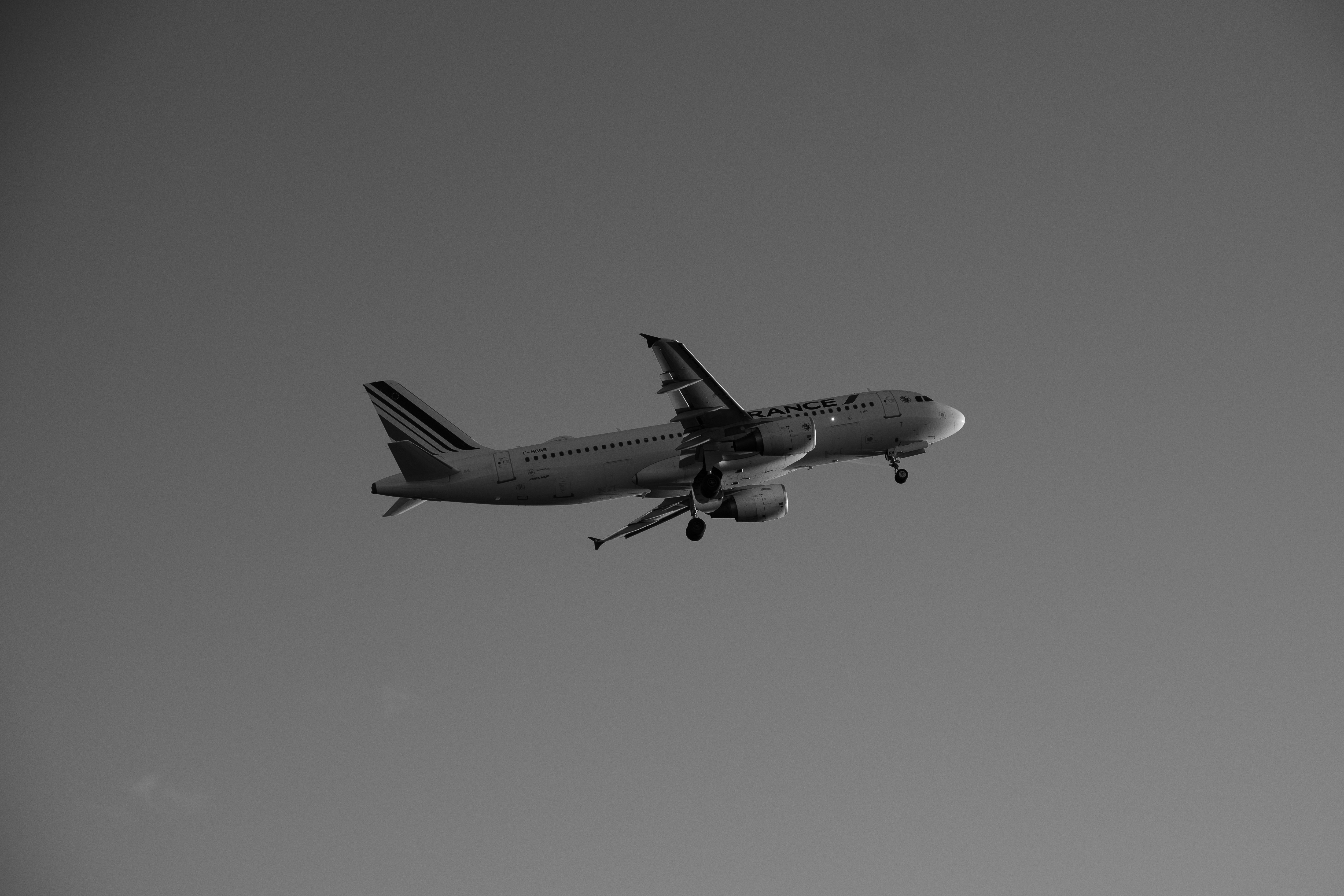 Midflight in Monochrome: A Jet’s Careful Descent