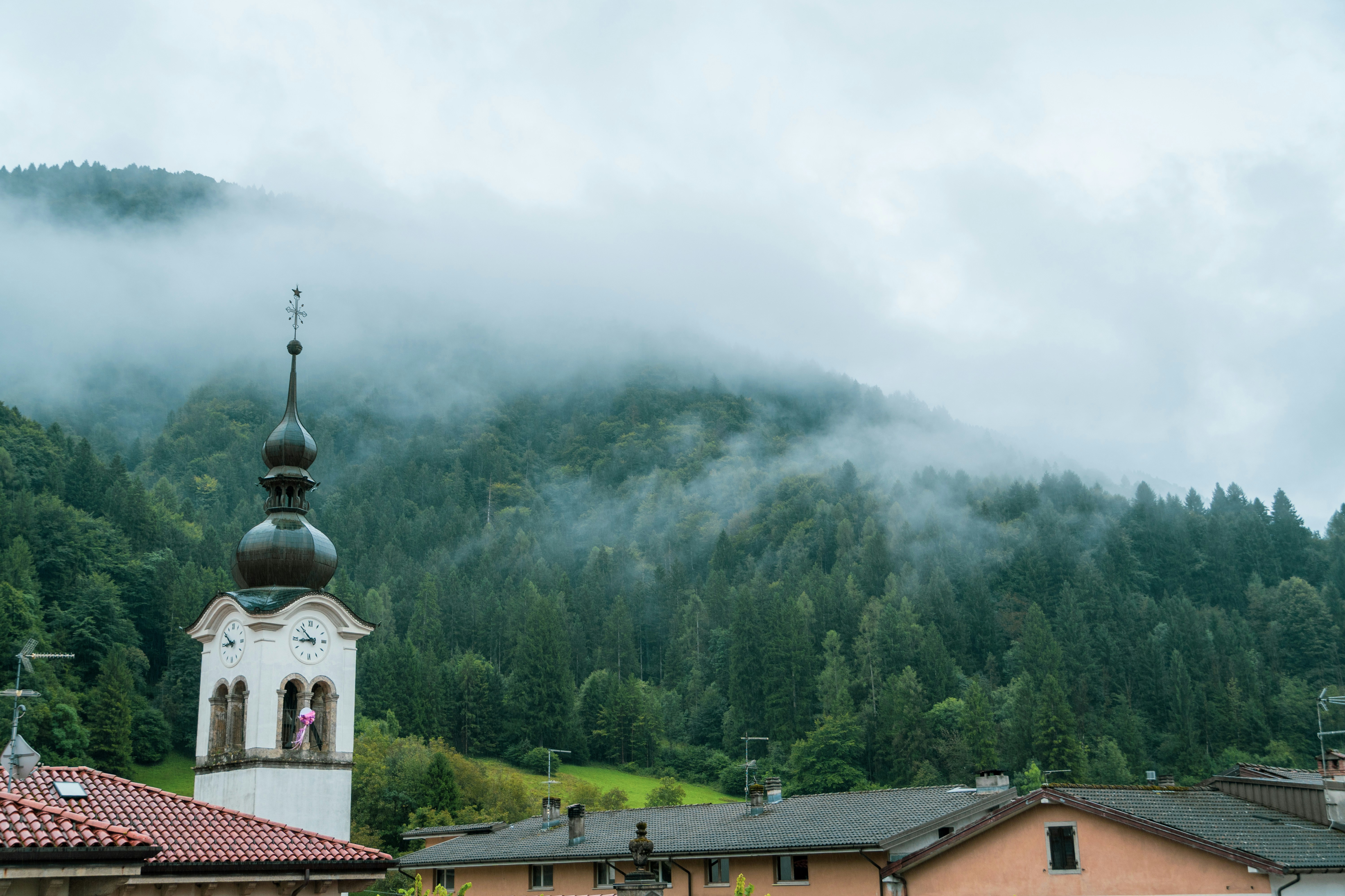 Pastoral Clocktower Beneath Misty Alpine Pines