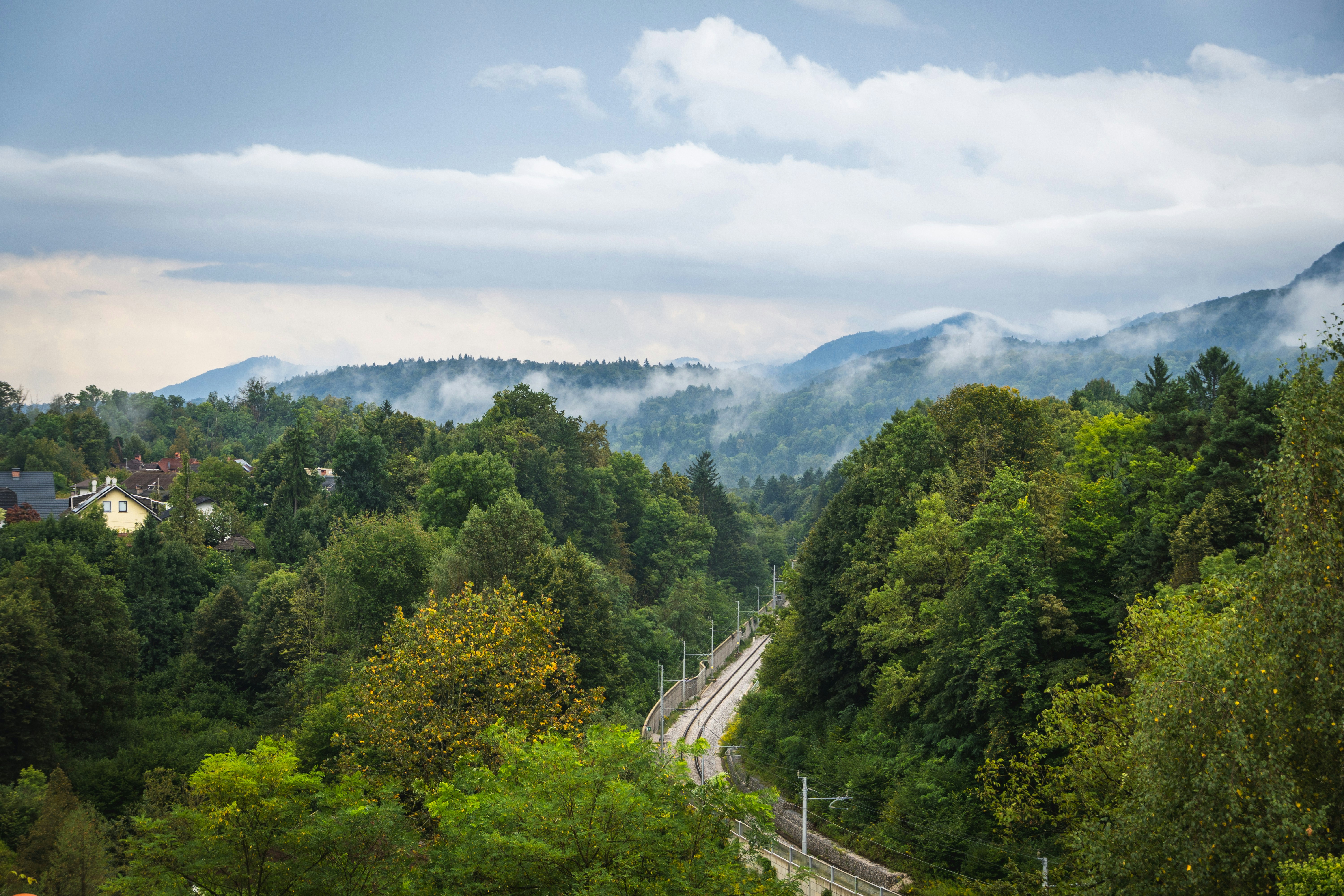 Misty Ridge: A Quiet Rail Solace Through Verdant Valleys