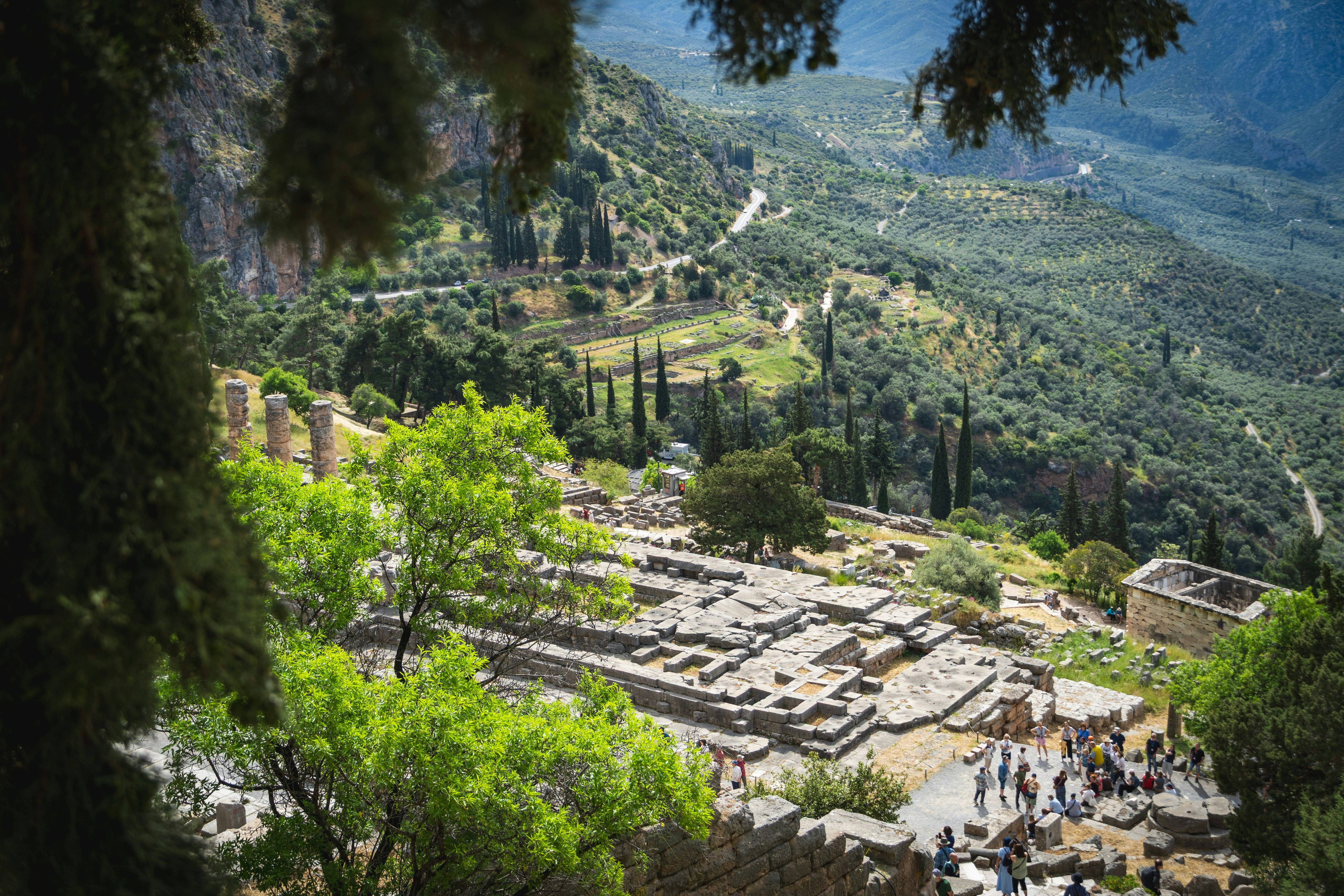 Terraced ruins beneath olive groves: a hillside archaeological panorama