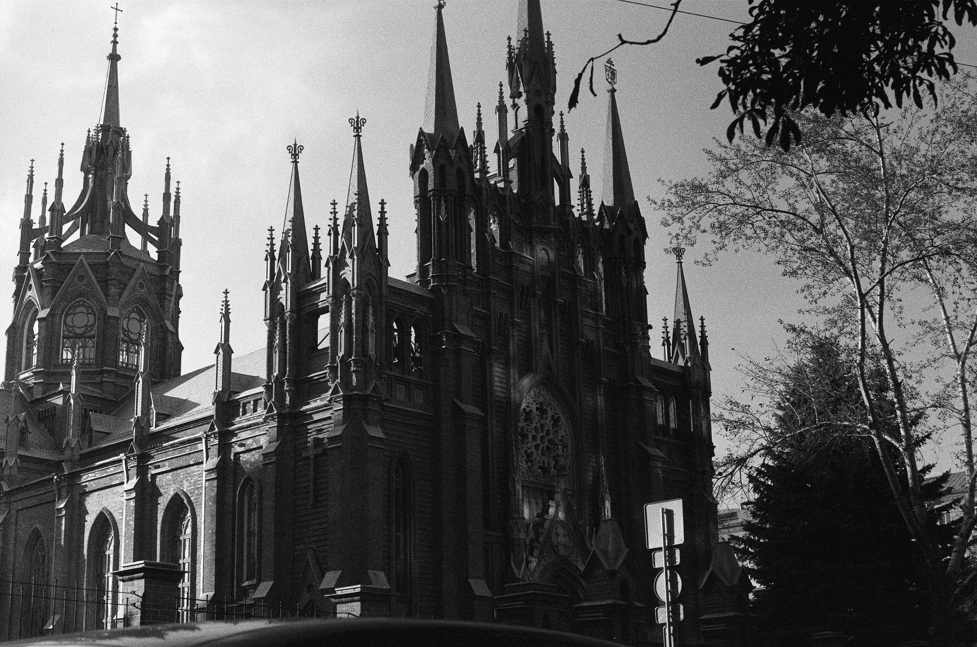Gothic cathedral façade framed by surrounding trees in a black-and-white photograph.
