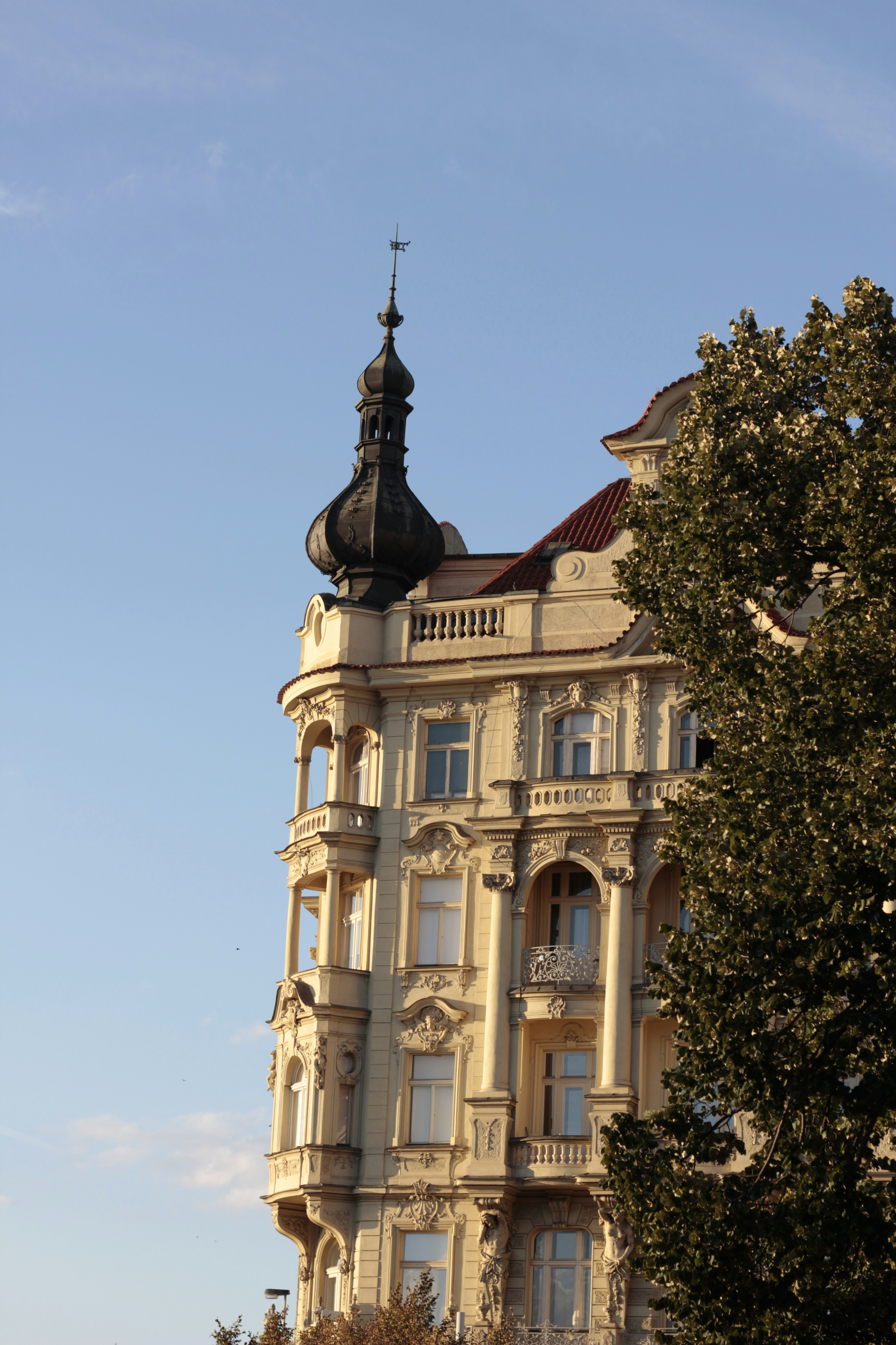 Ornate Cornerstone: A Historic Facade Framed by a Looming Tree