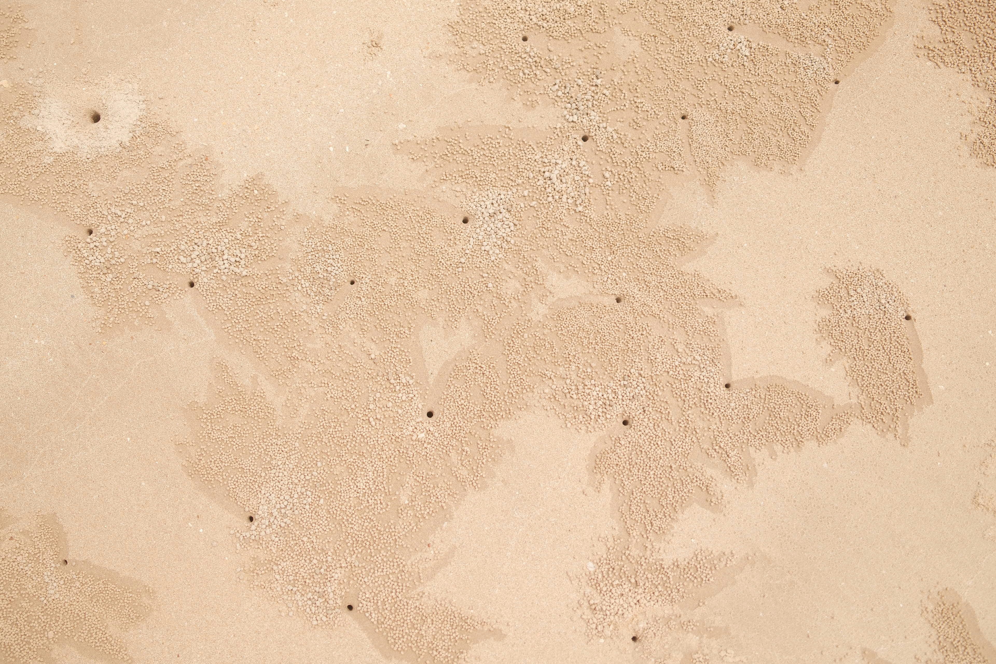 Desert Mosaic: Subtle Texture of Sand and Shadows