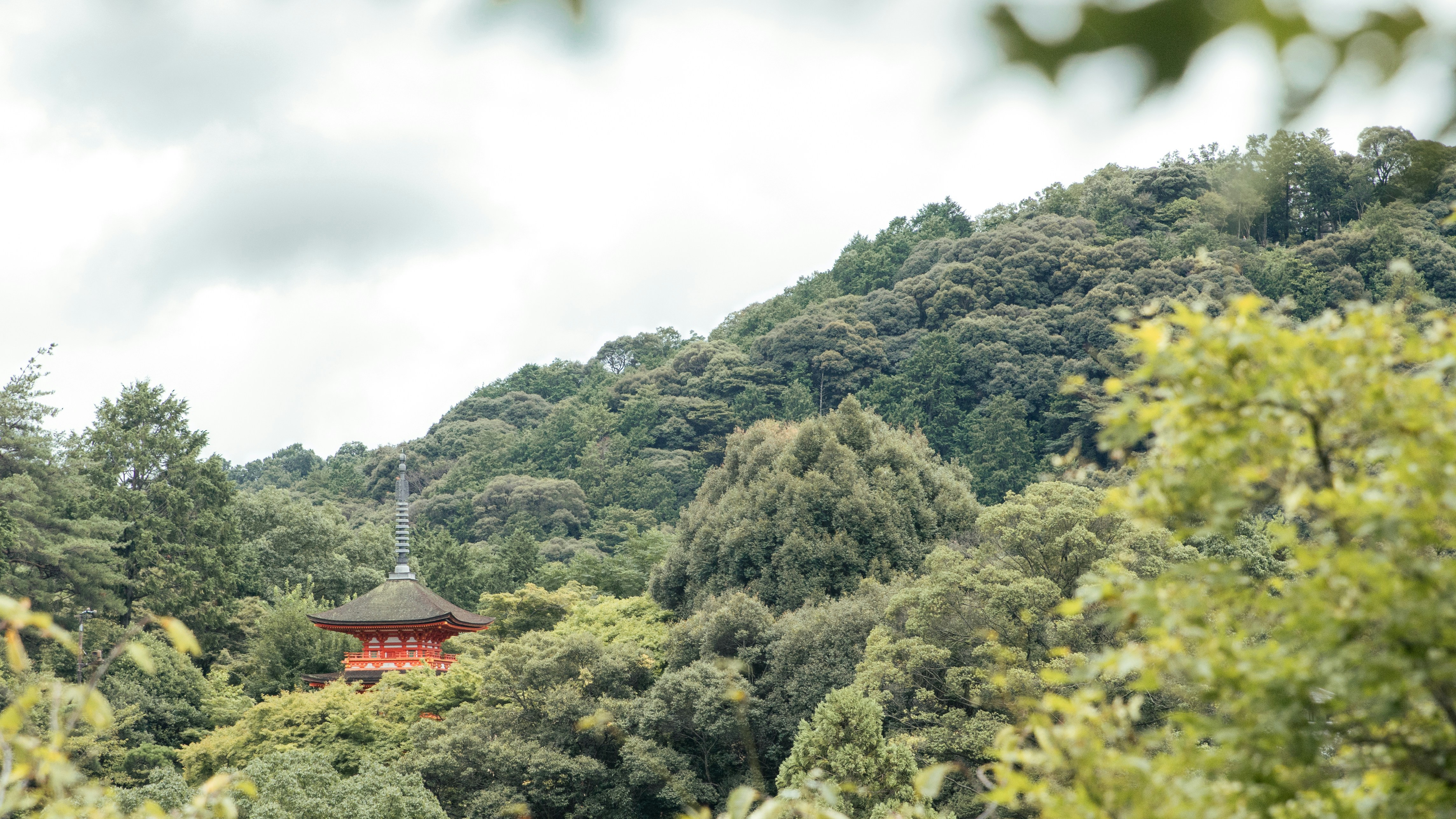 Hidden Pagoda Amid Forested Hills