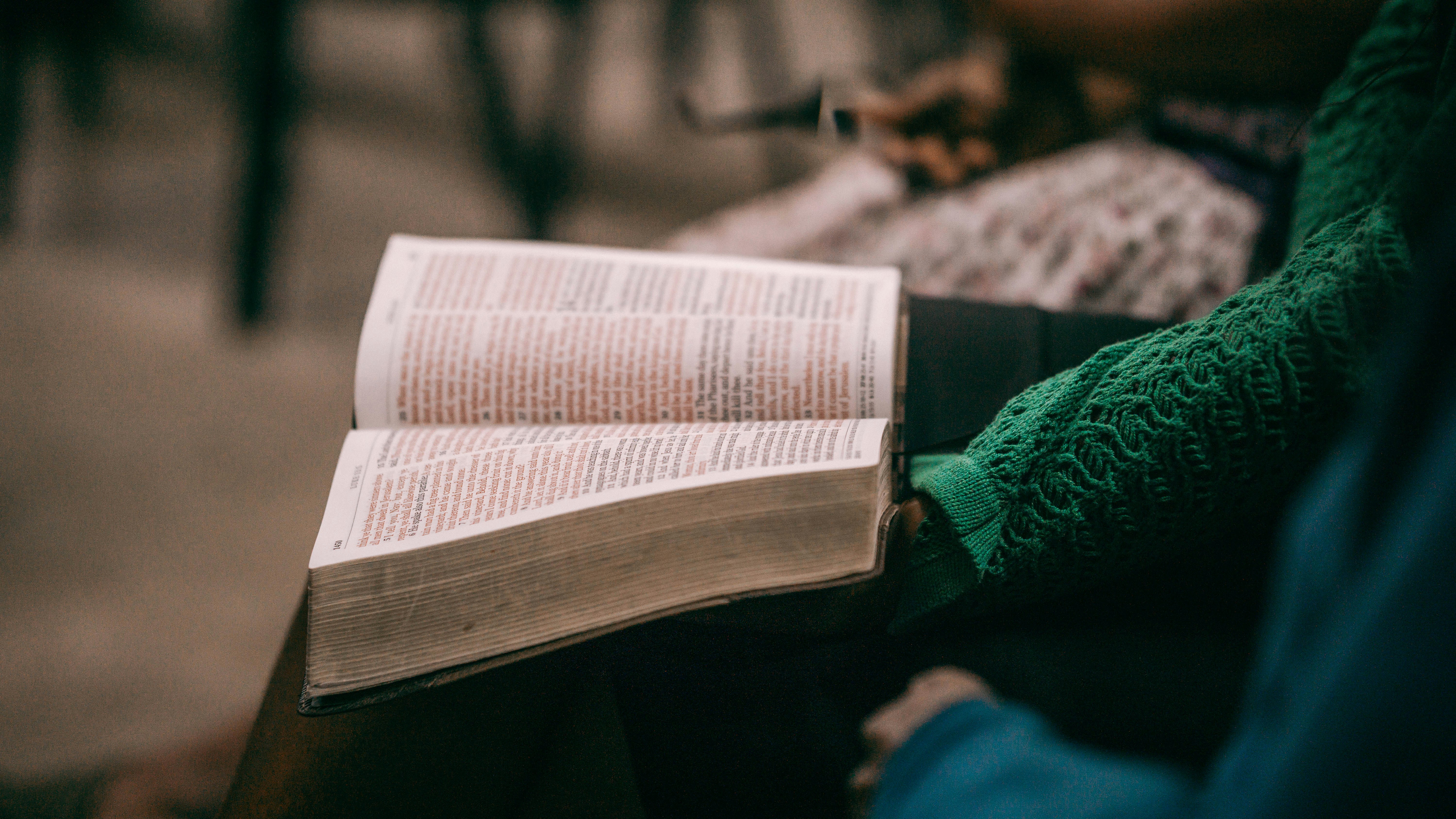 Green-sleeved Quiet: Reading by the Corner