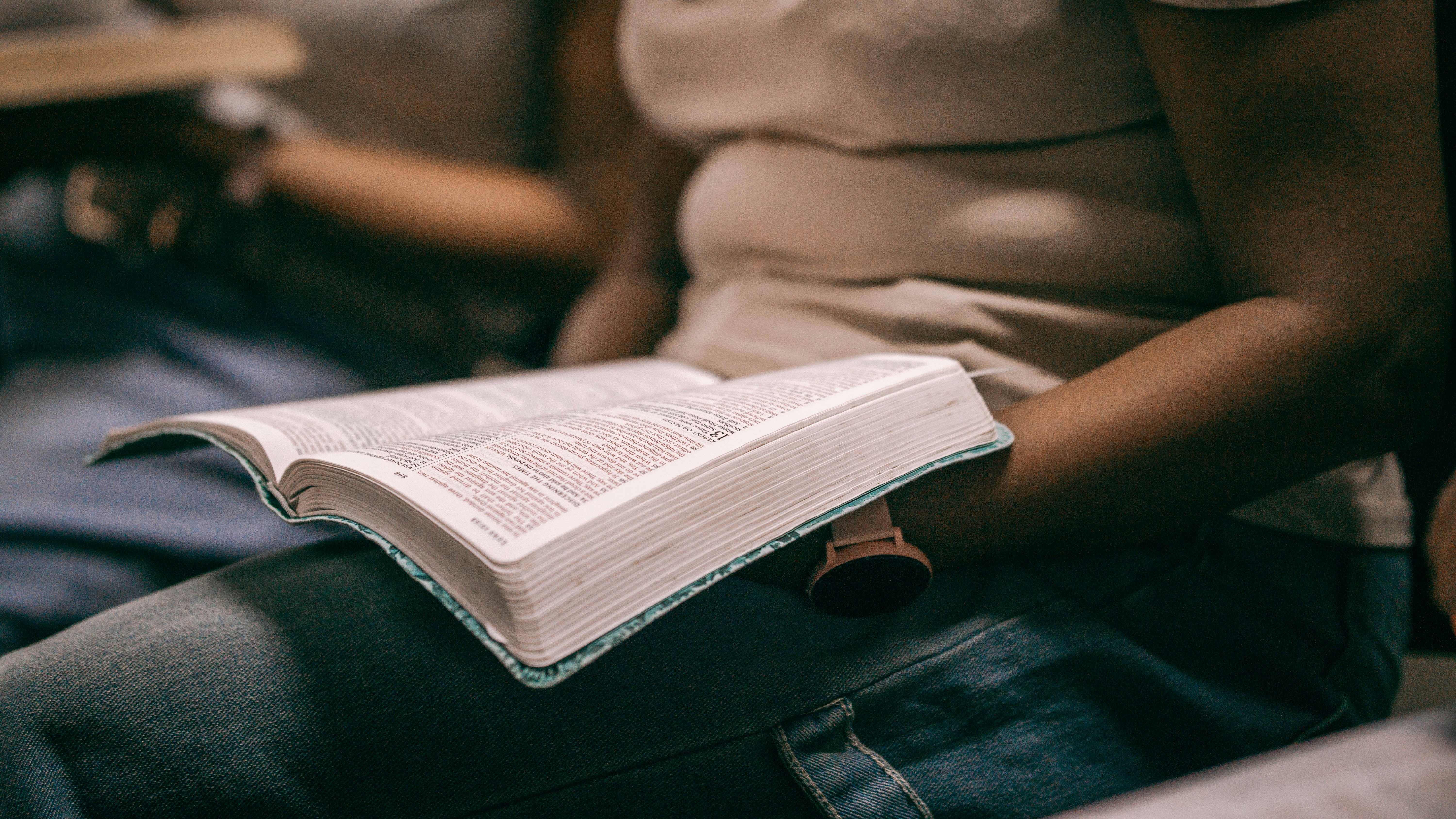 Open Book, Quiet Moment: Reading Comfort in a Casual Setting