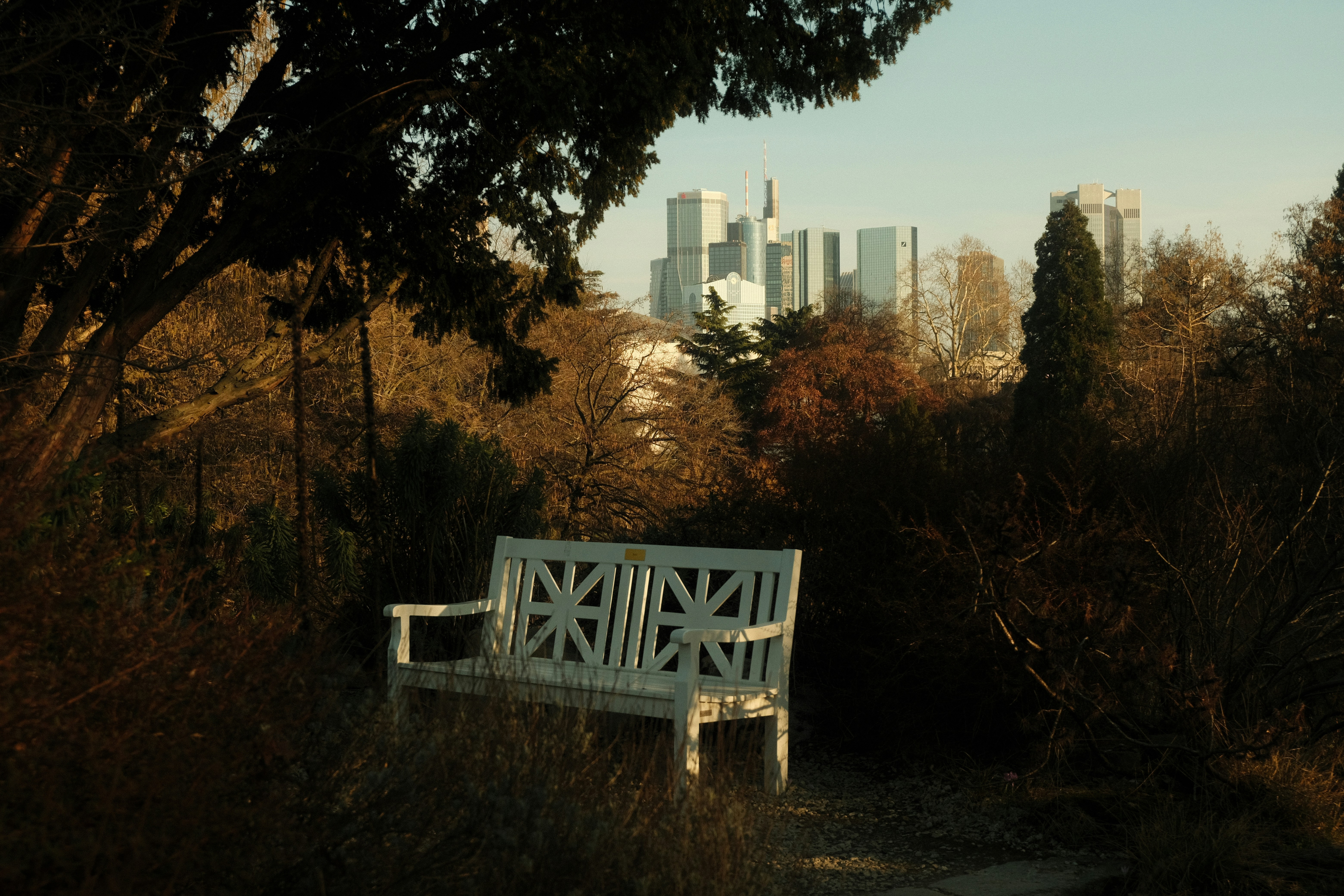 A white bench sits in a dim garden with late-afternoon light, framed by trees and distant city buildings; a tranquil scene emphasizing solitude in an urban-park contrast.