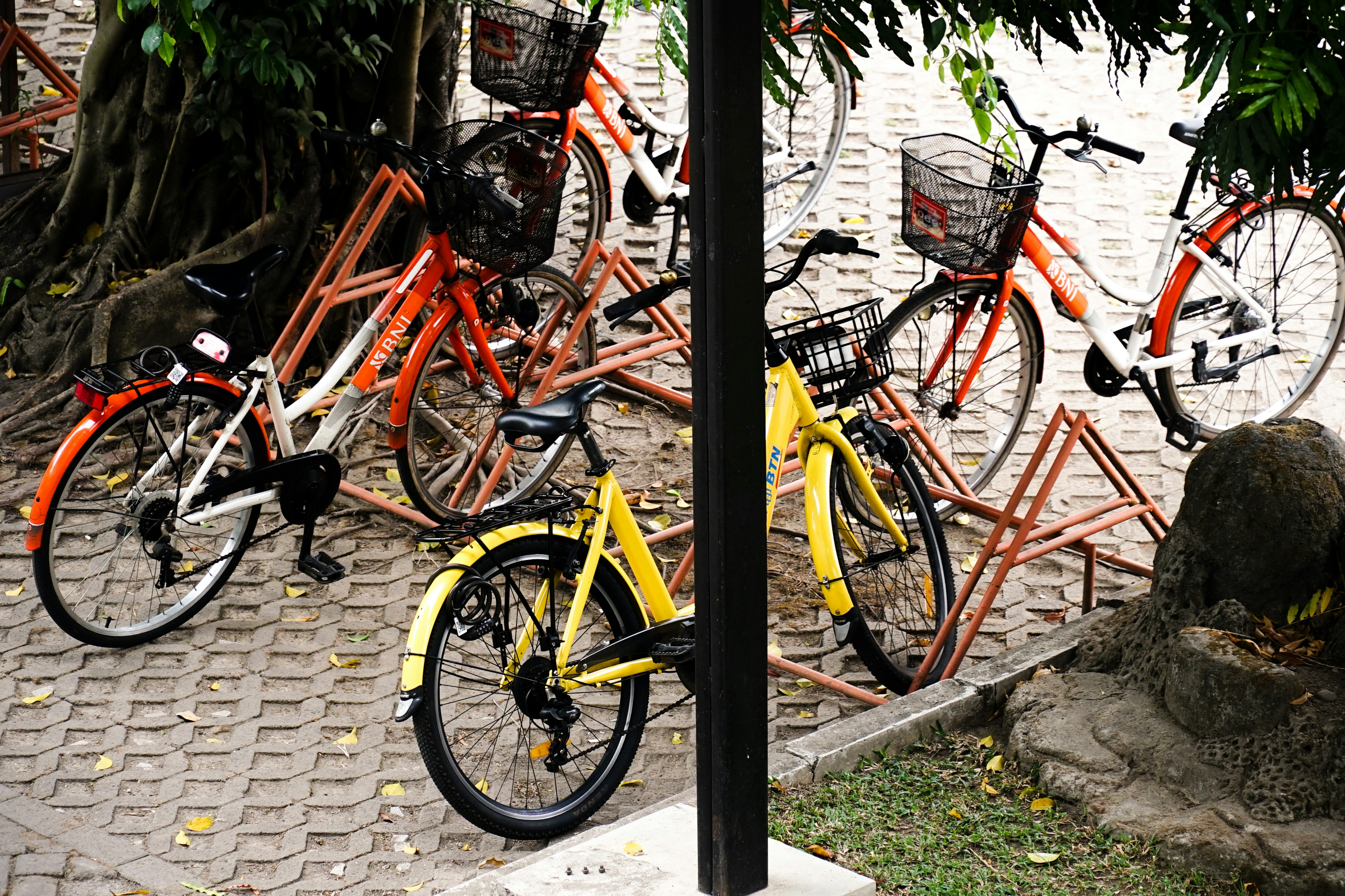 Chaotic Bicycle Garden: Orange Frames Amid a Cluttered Urban Rack