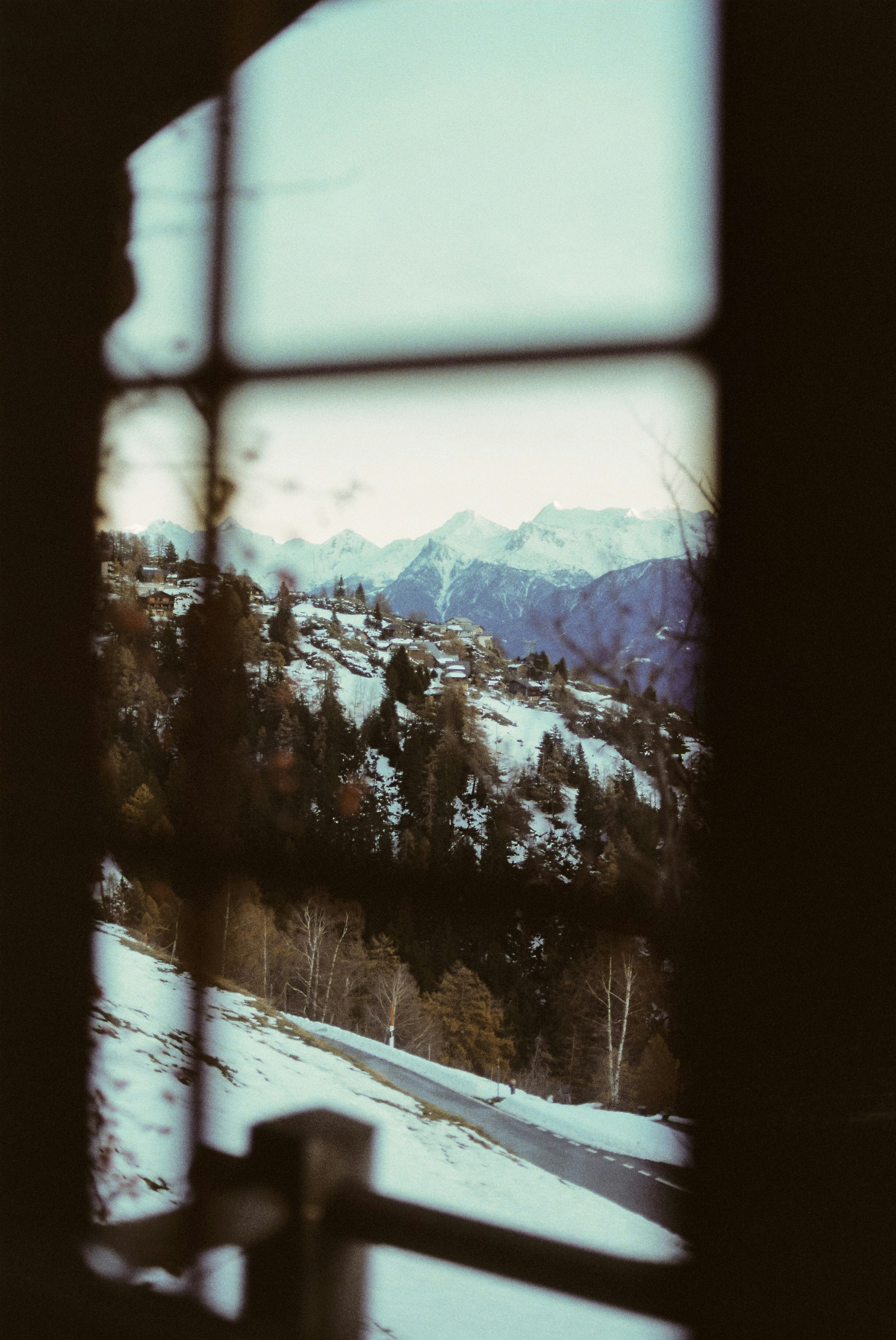 Through a Window of Pines: Mountain Snowbound View