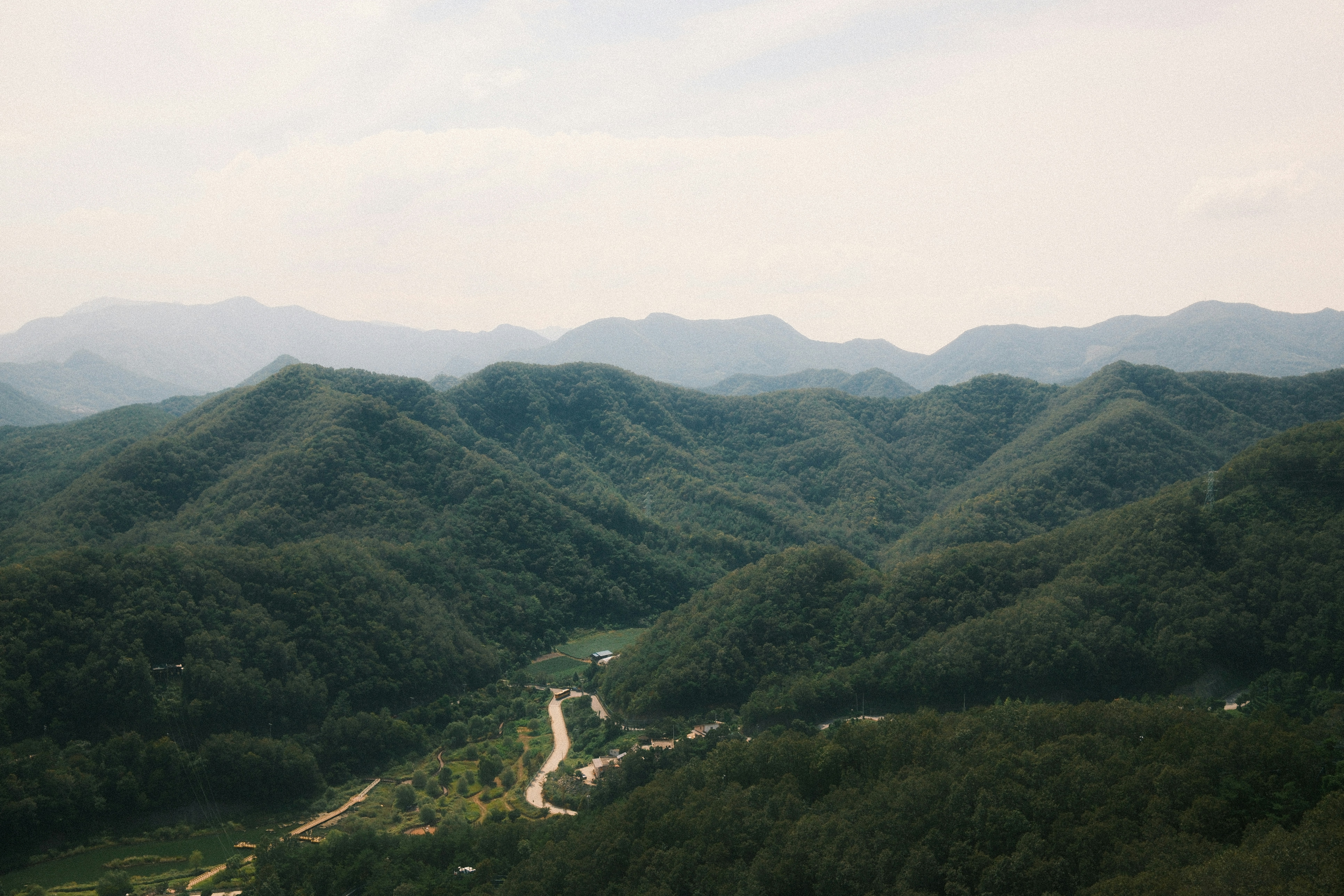 Rolling forested ridges stretch into the distance with a winding road cutting through the valley.