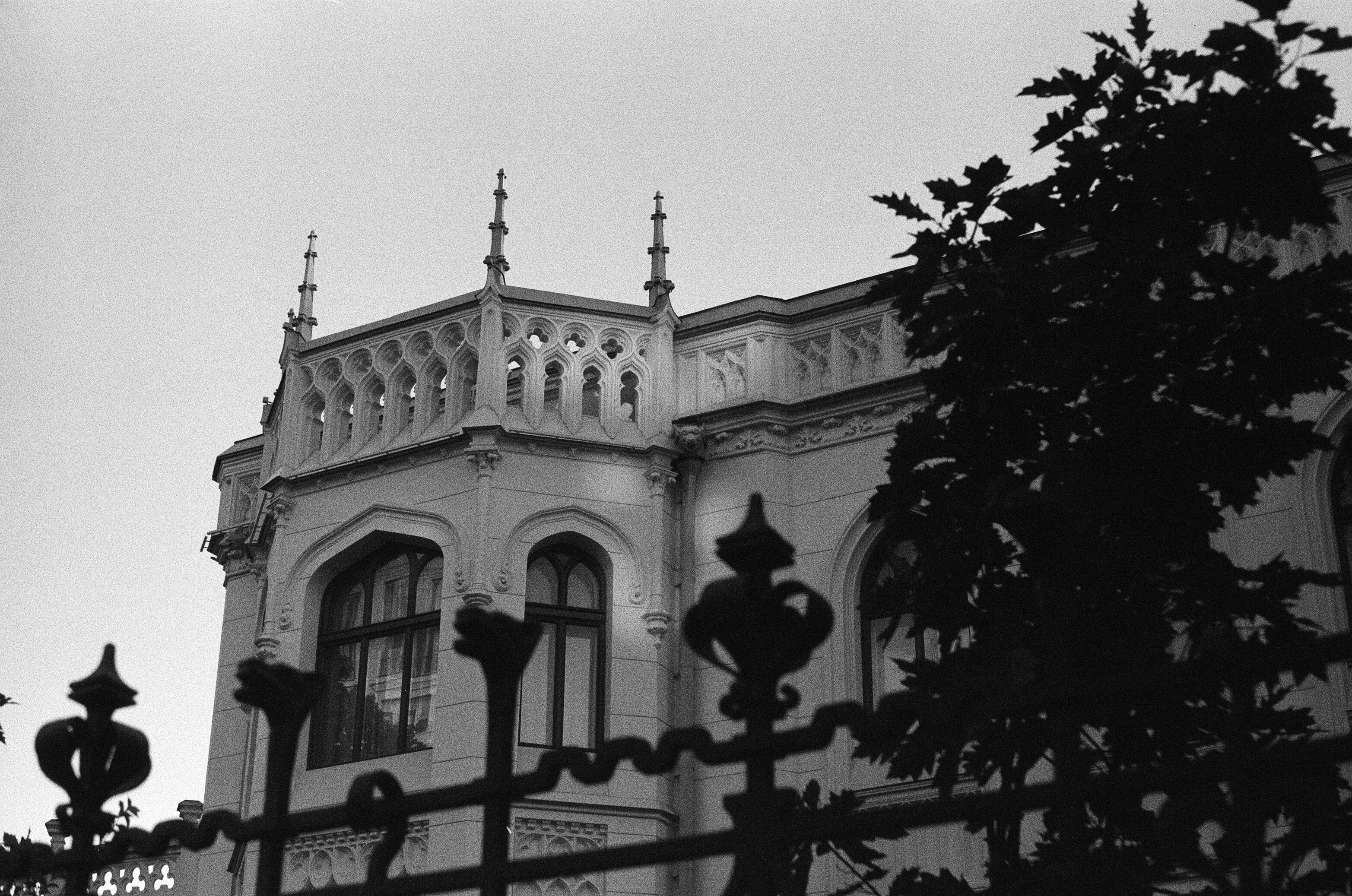 Gothic Railings Meet a Grand Facade: An Evening Overlook