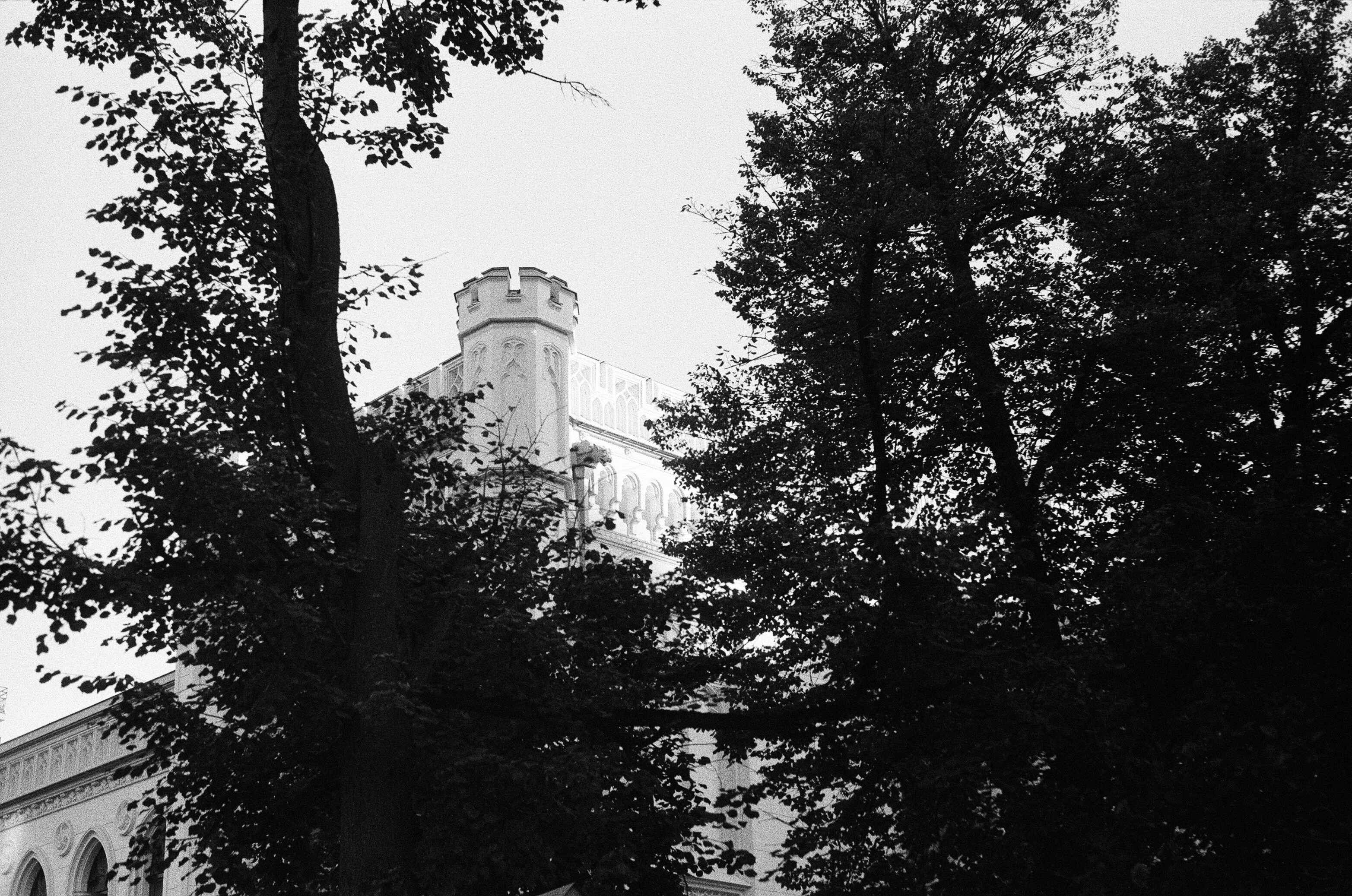 Castellated tower peeks from dense tree silhouettes, suggesting a historic estate above a shadowed foreground.