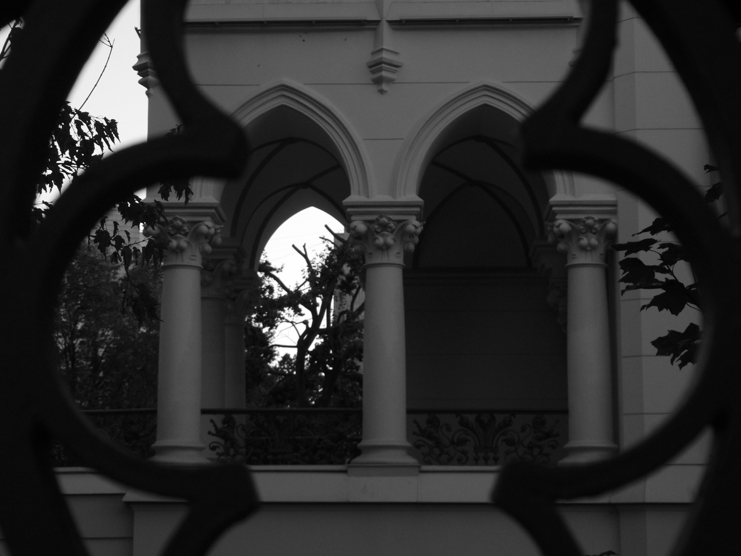 Arched Courtyard Through a Framing Gnarled Terrace