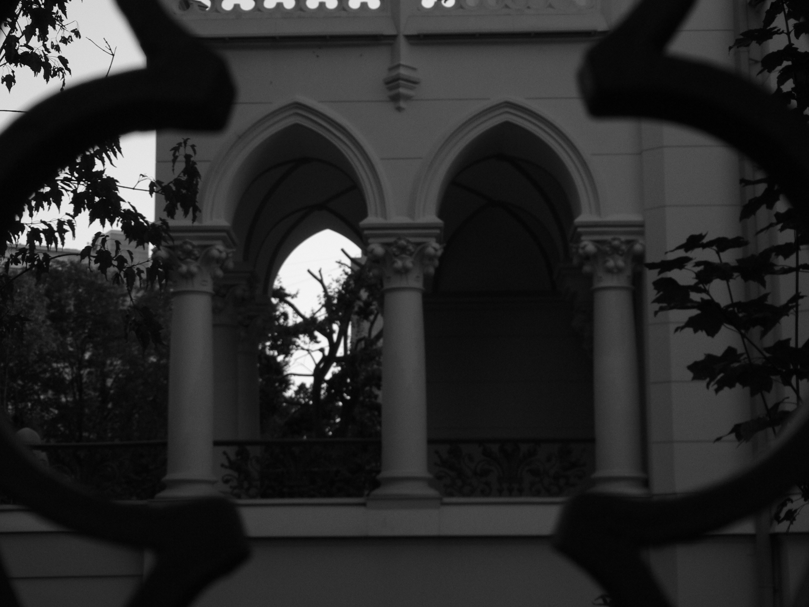 Arched Silent Gaze Beyond the Iron Frame