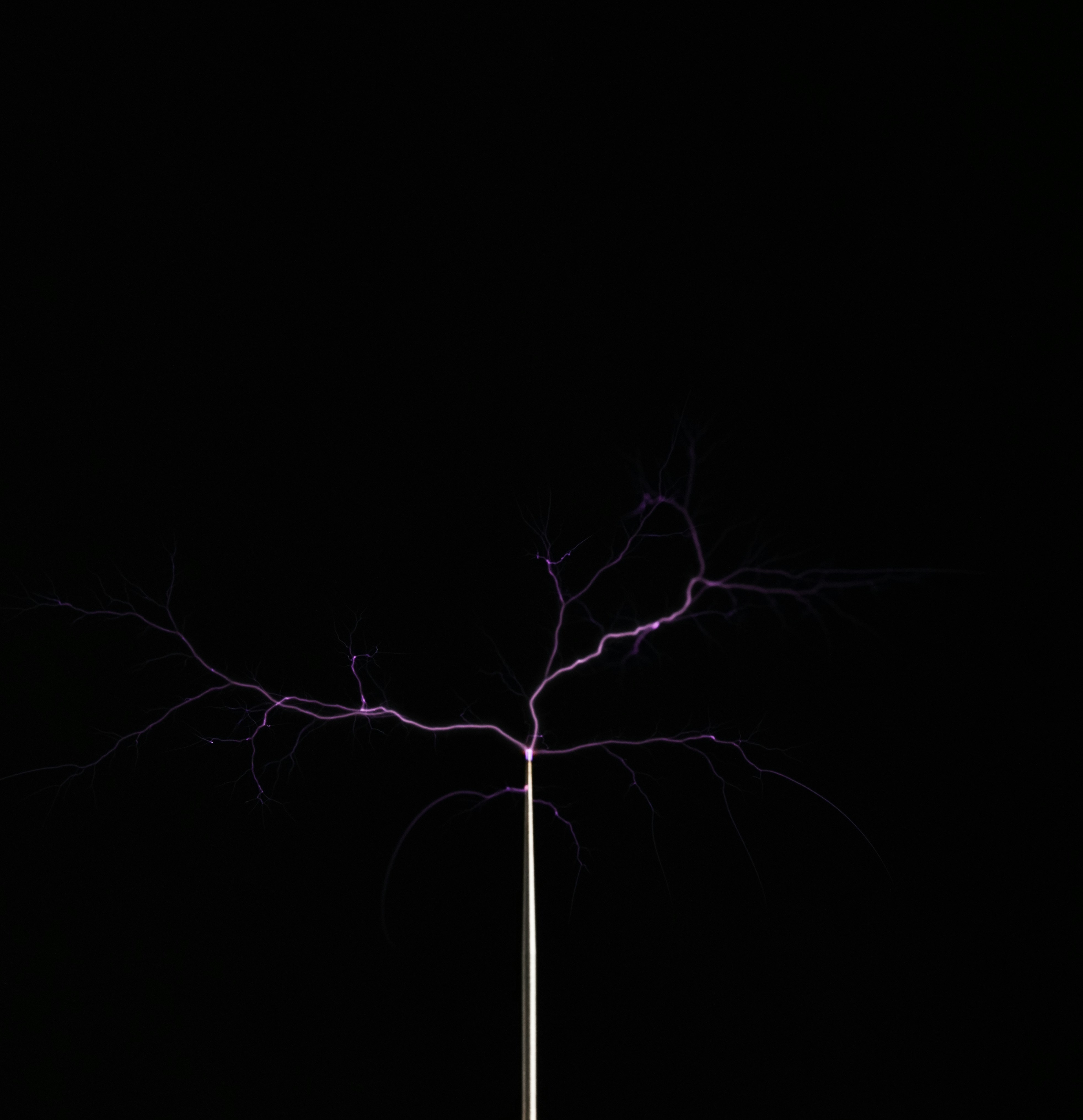 Electric Whisper: A Single Tree Brings Lightning to Night