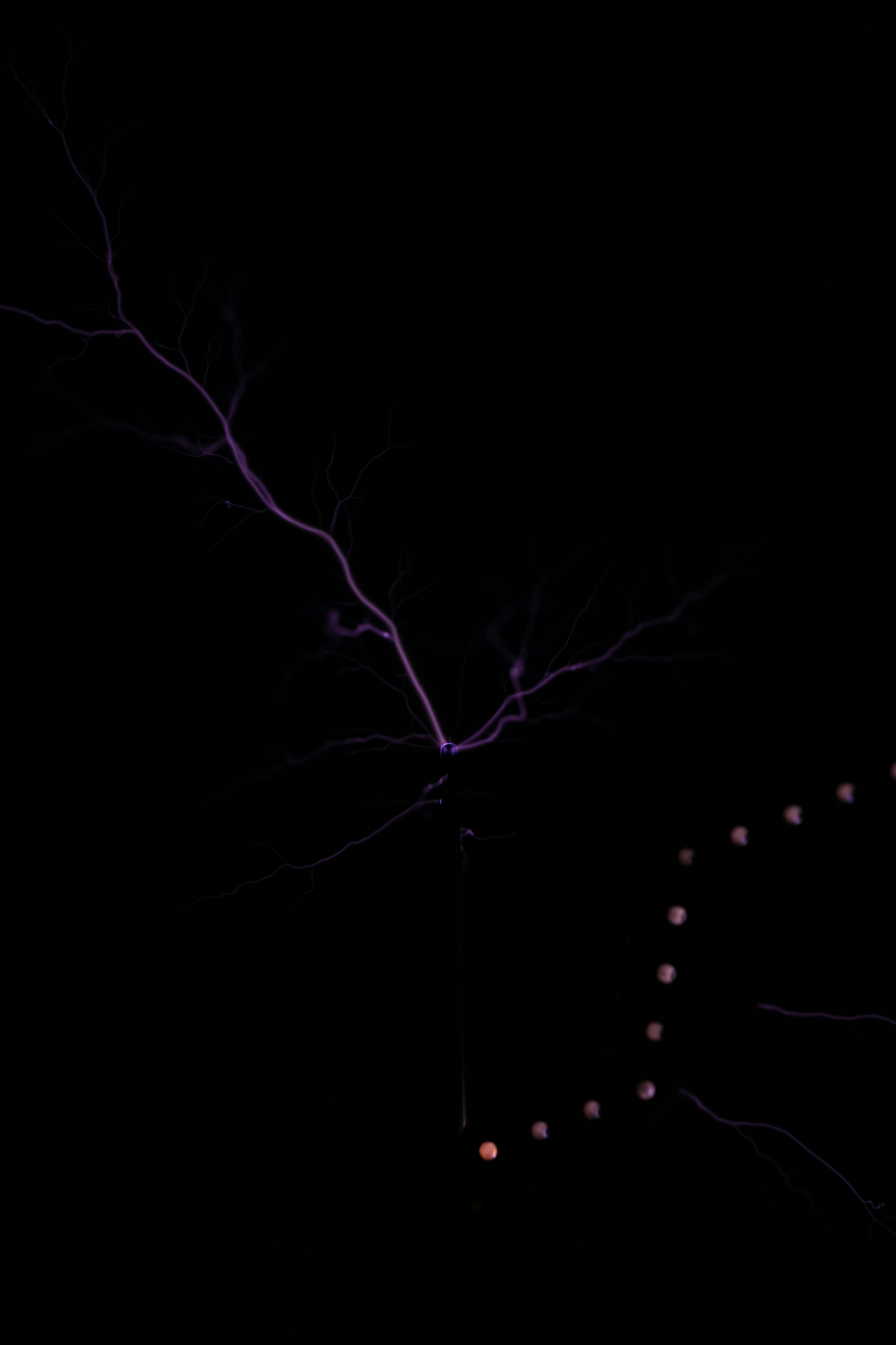 Electrified Vein: a lone lightning thread in a velvet night