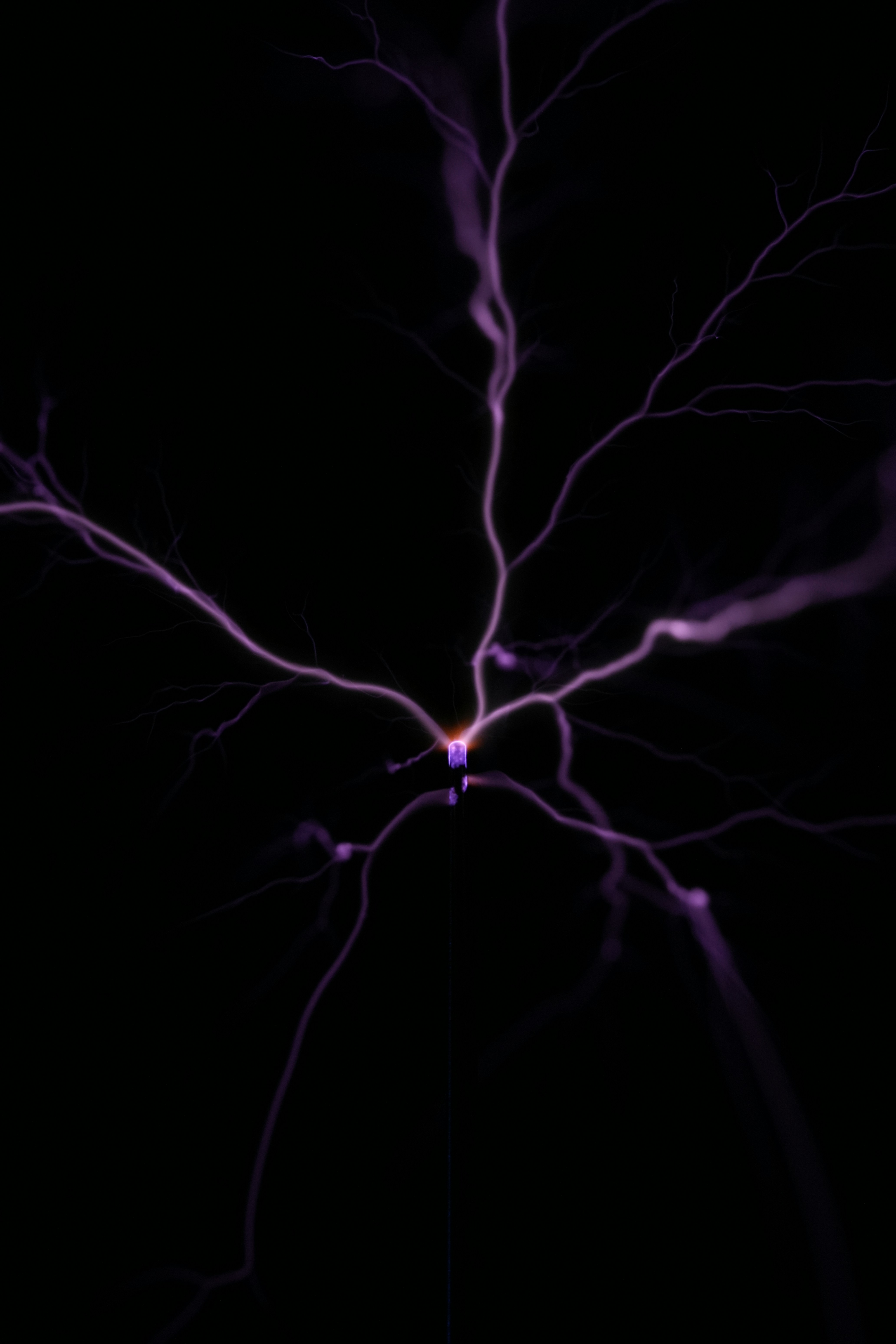Electric Tree of Light: a single glowing neuron-like bloom at the center of darkness