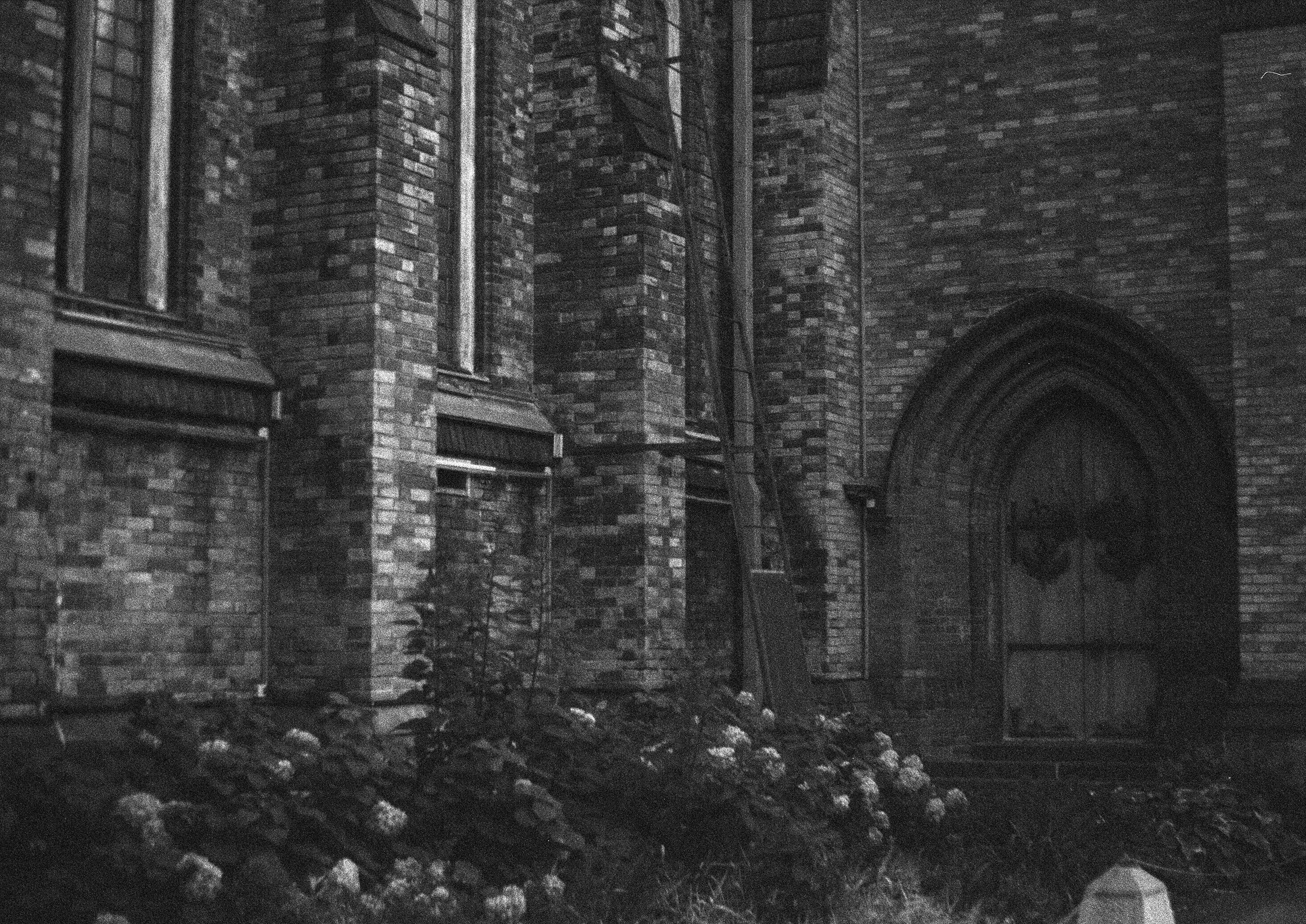 Overgrown Vigil: Moss-Capped Gateway of a Silent Abbey