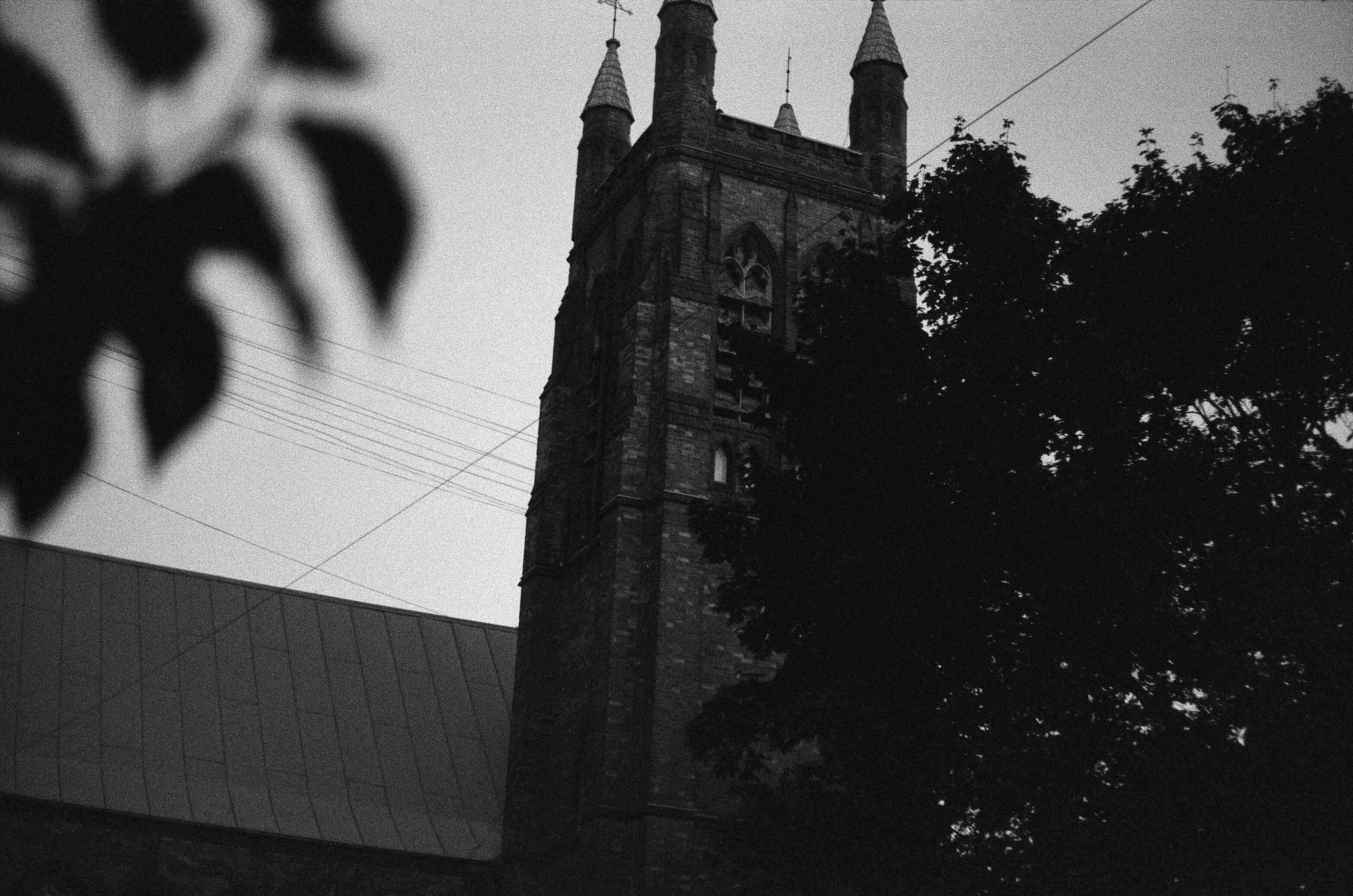 Gothic Clocktower Silhouette Against Dense Foliage