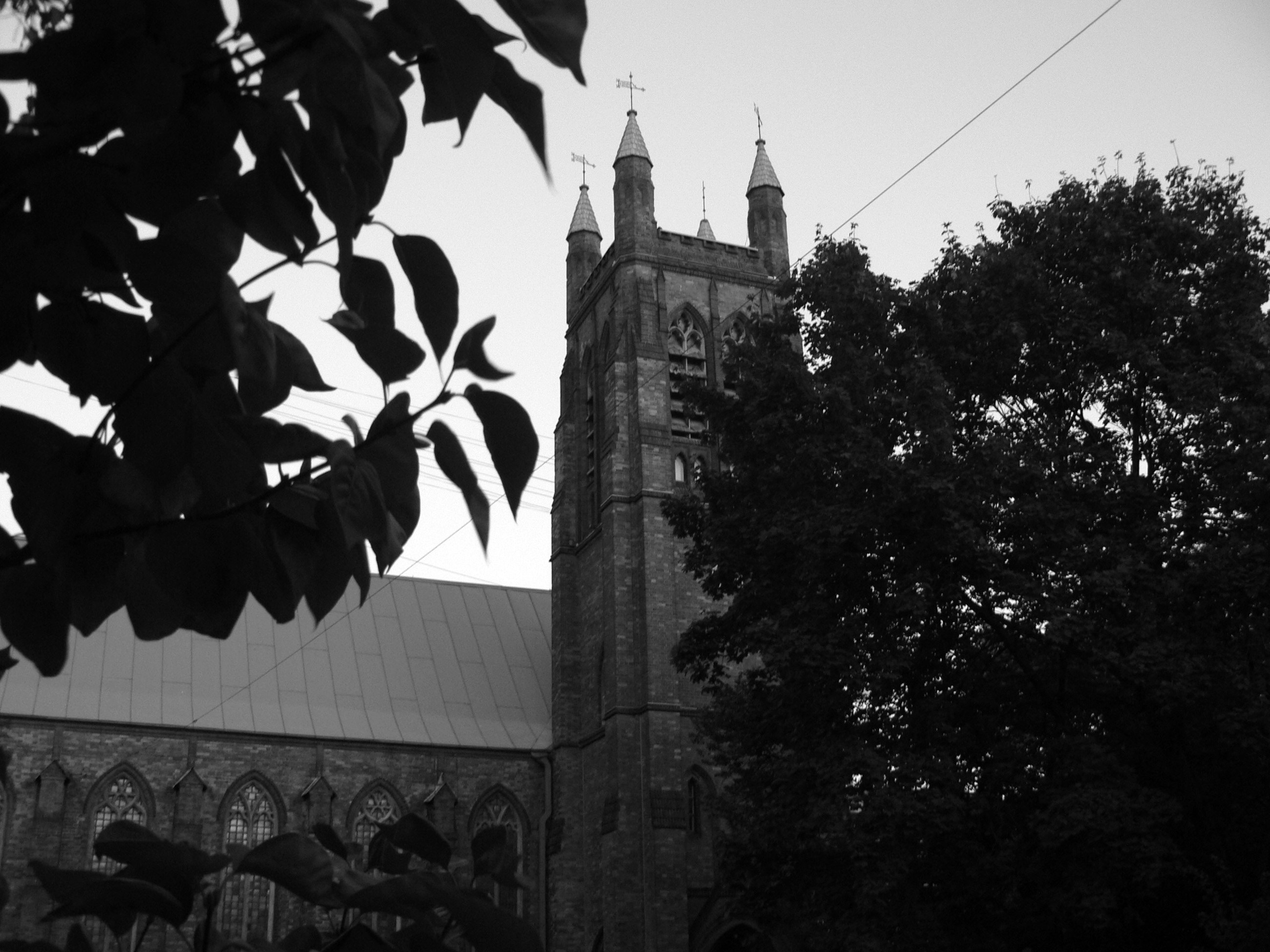 Gothic Church Tower Amid Ambient Foliage in Silhouetted Black-and-White