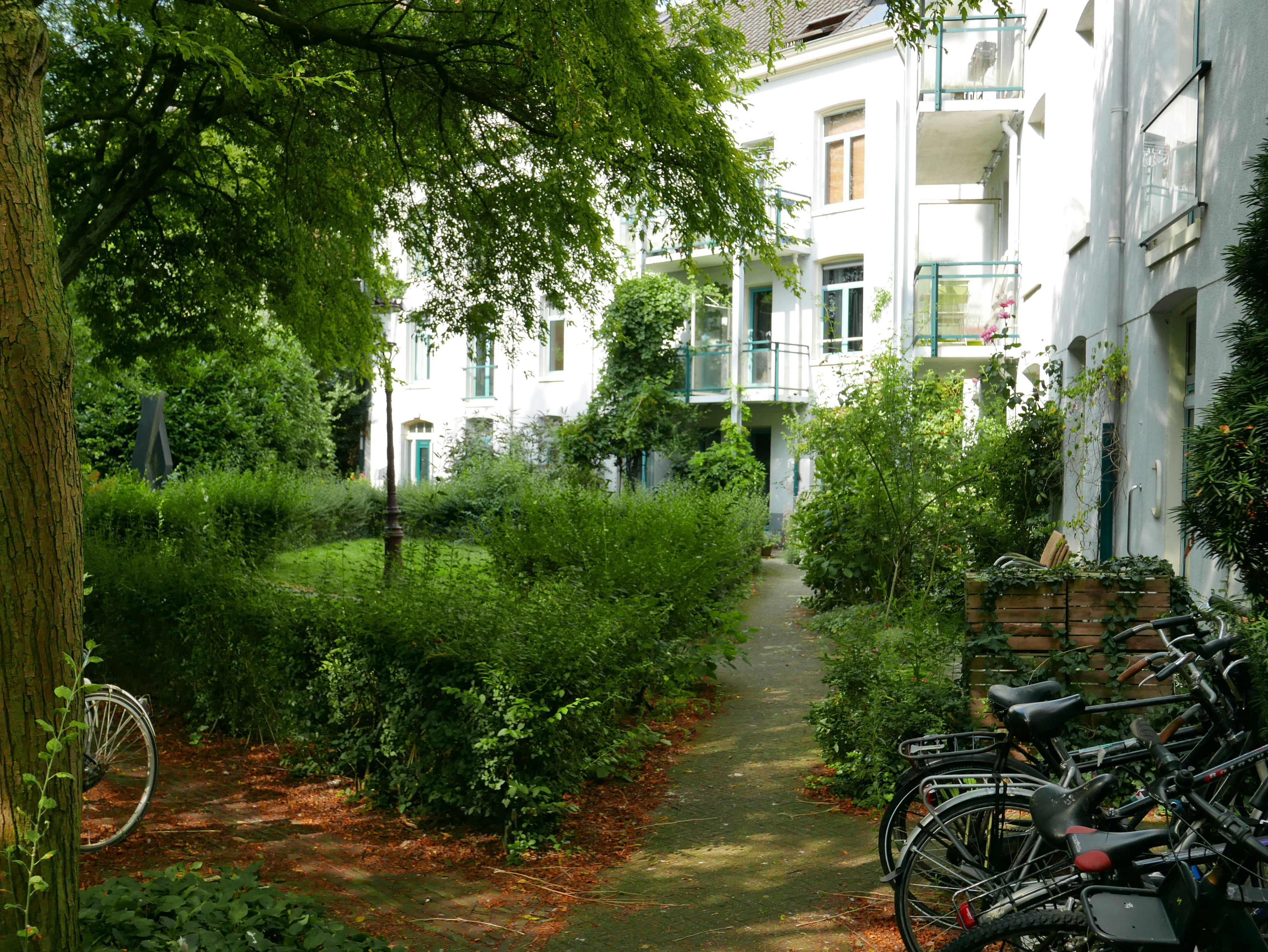 Green Path Through a Quiet City Courtyard