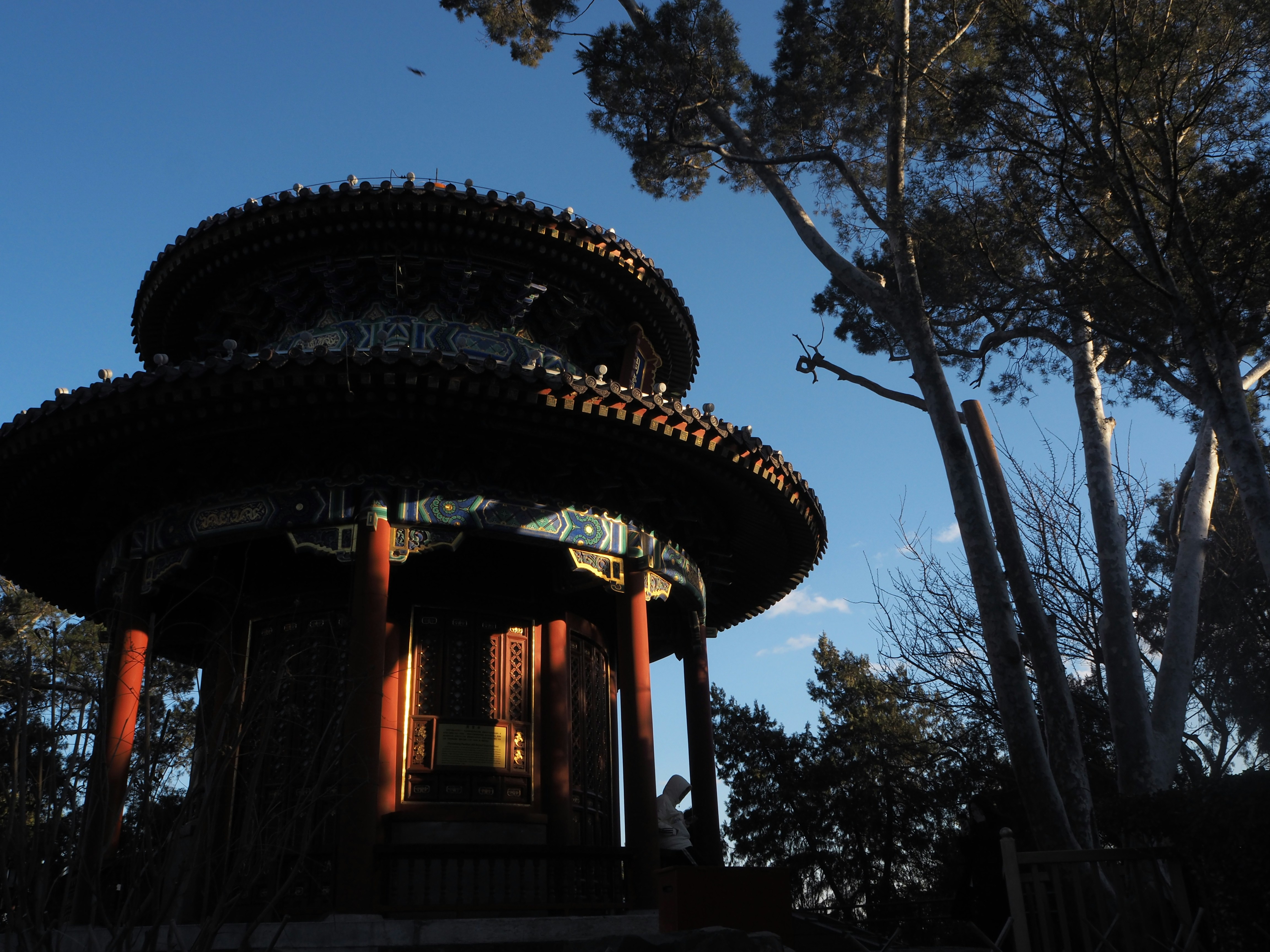 Quiet Pagoda in Shadowed Garden Under Clear Sky