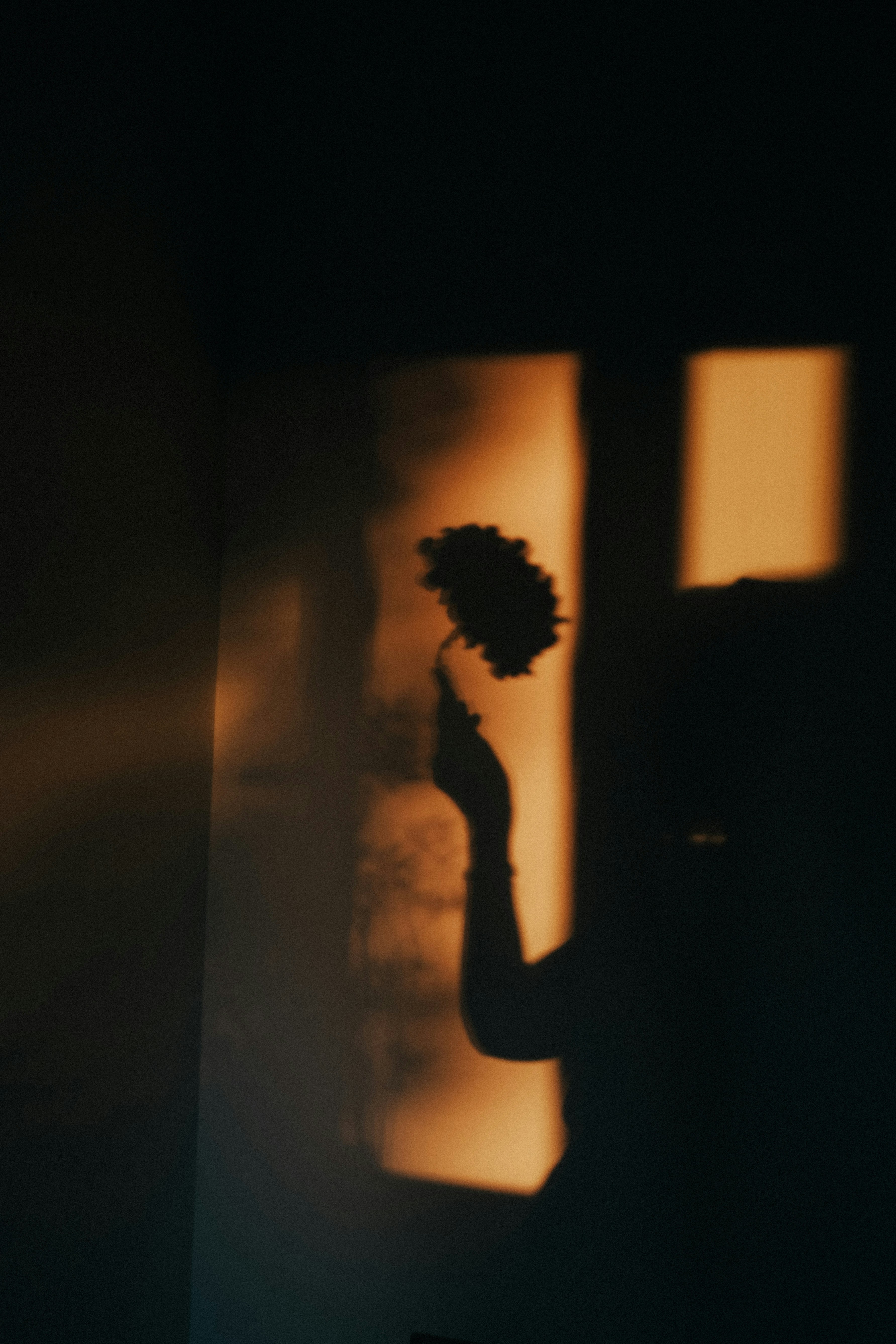 Silhouette in Amber: A Handful of Flowers Against Fiery Windows