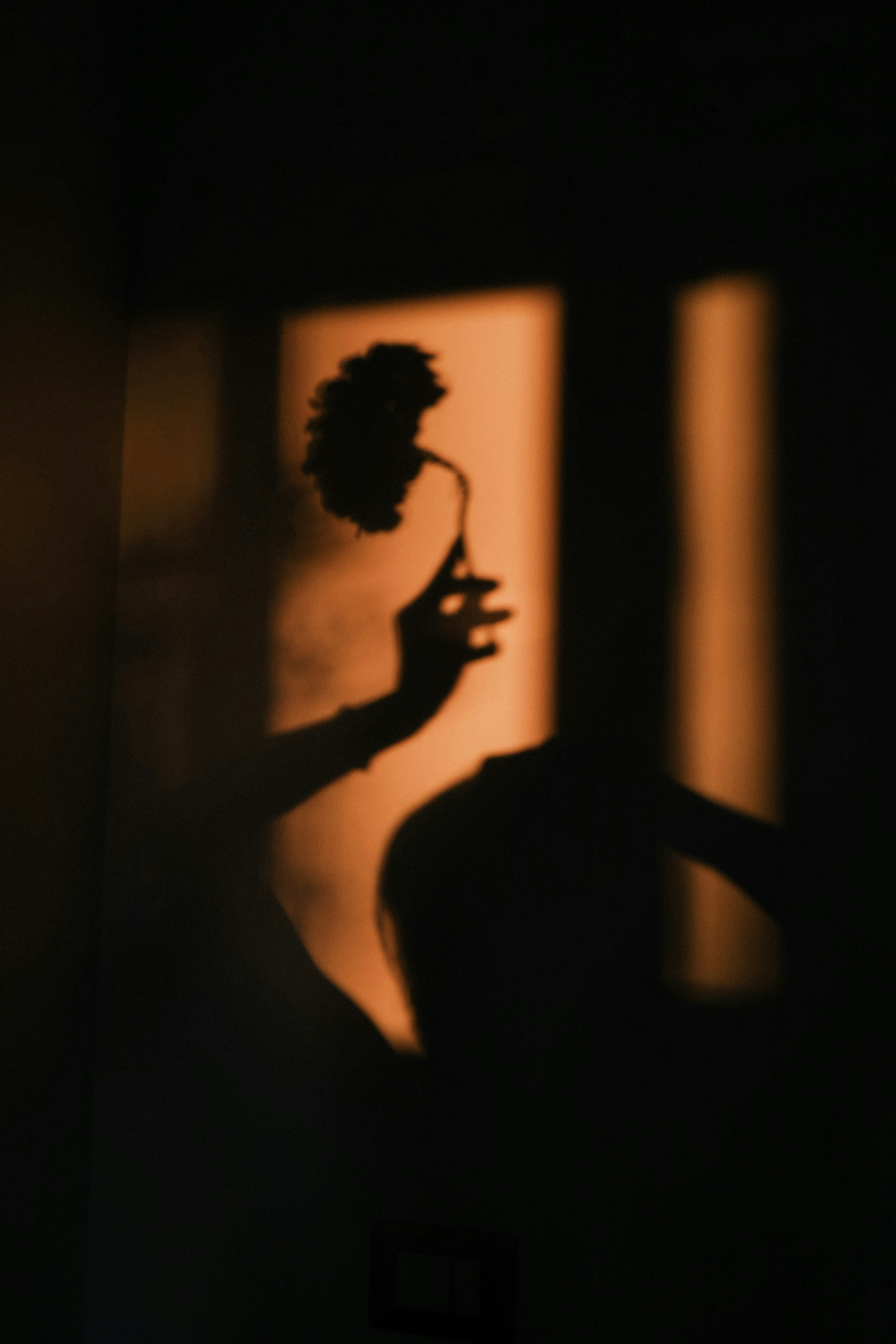 Shadows in Amber: A Silhouette with a Floral Gesture