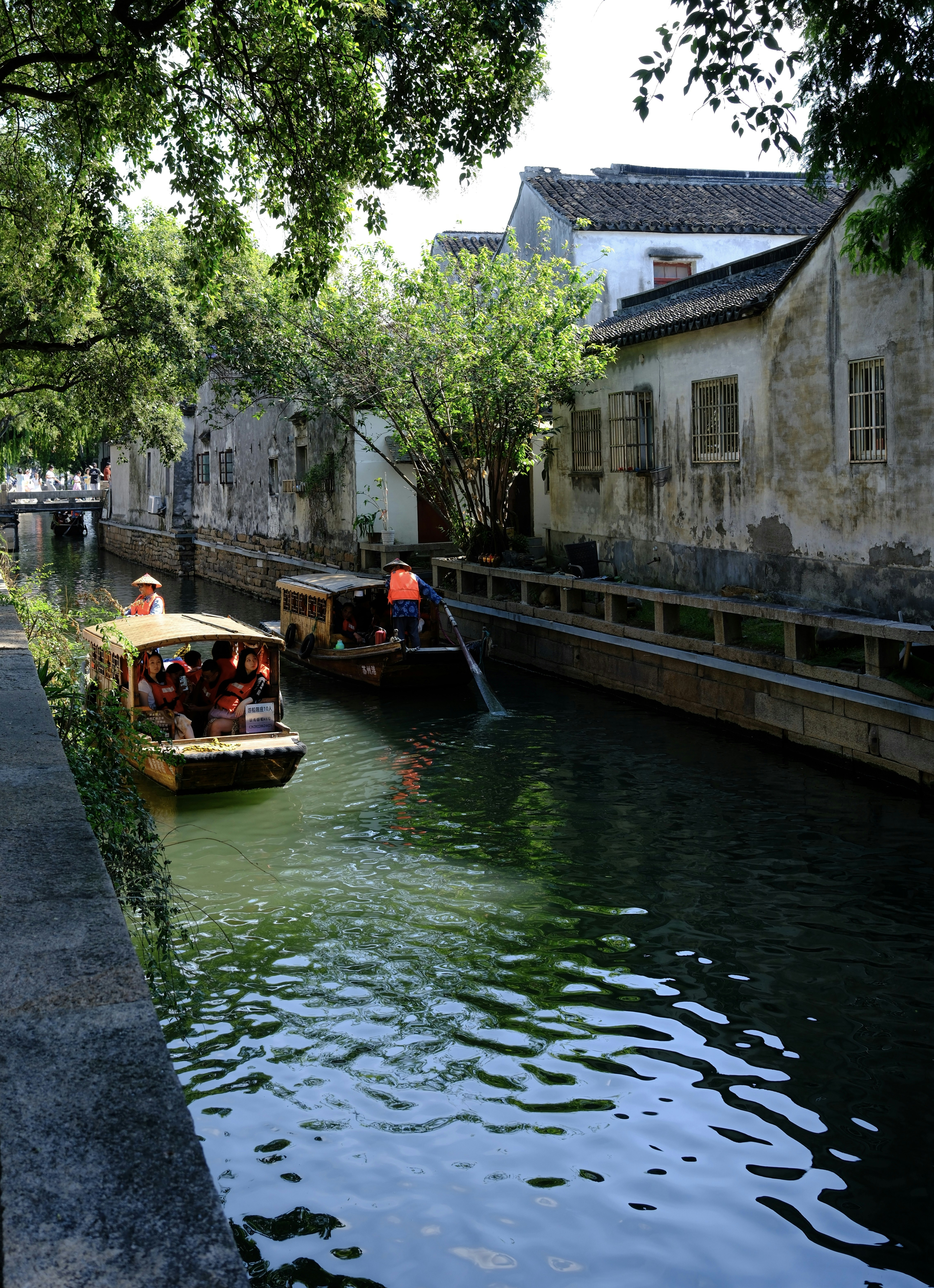 Canal Tour Under the Framed Canopy
