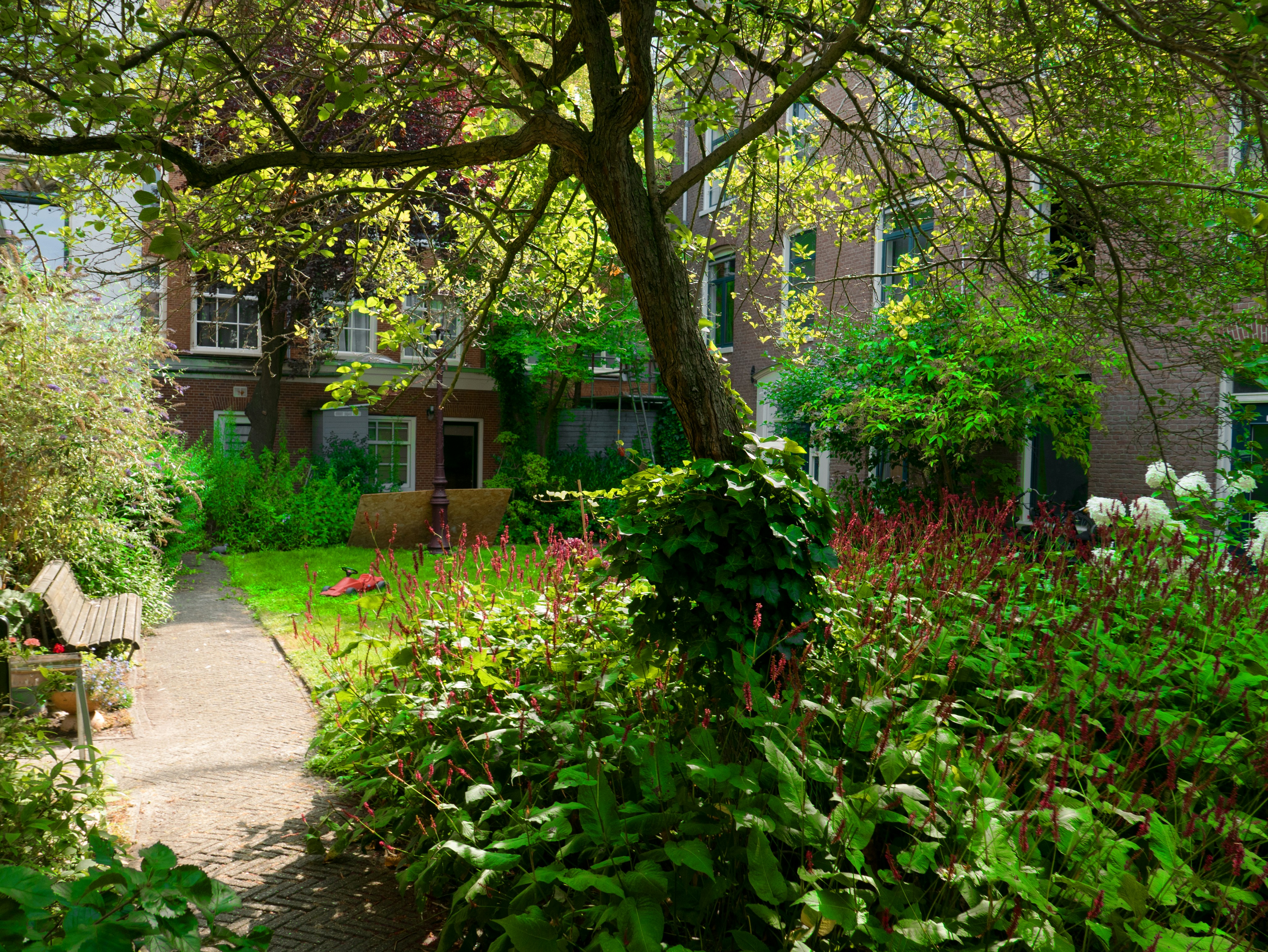 Path Through the Green Court: Sunlit Garden and Tree Canopy