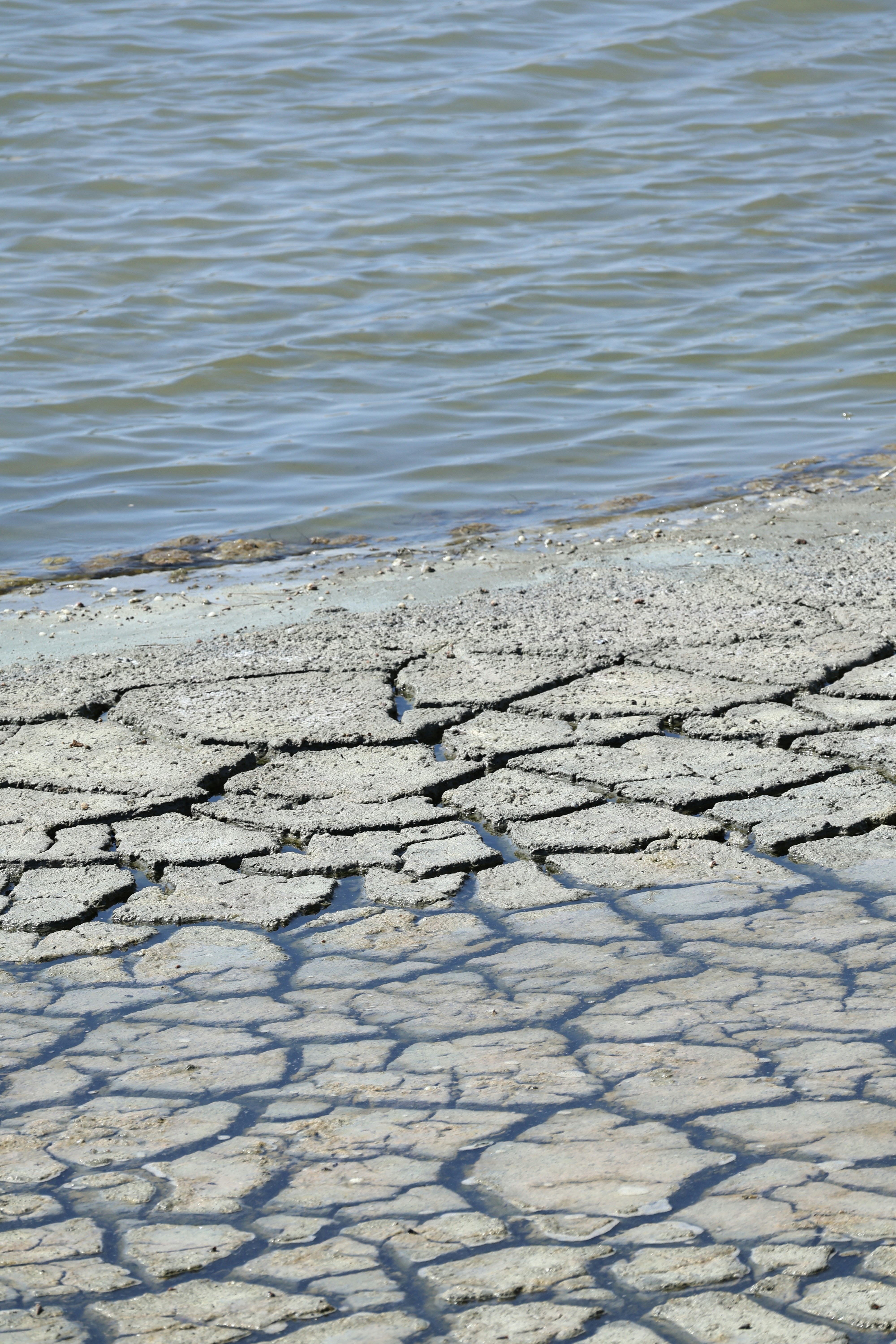 Cracked shoreline meeting quiet blue water