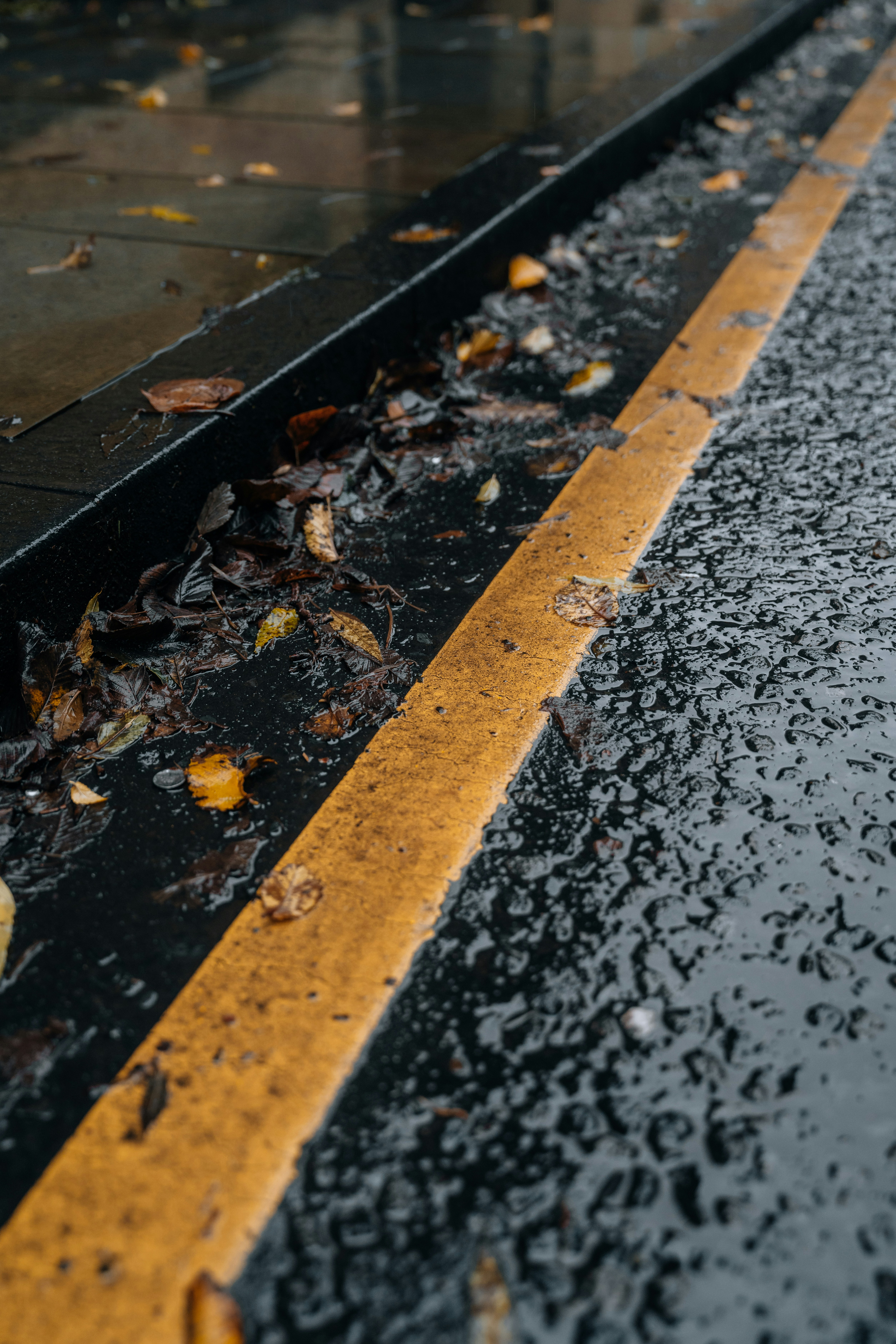 Yellow Line on Rainy Asphalt: Autumn Streets in Focus