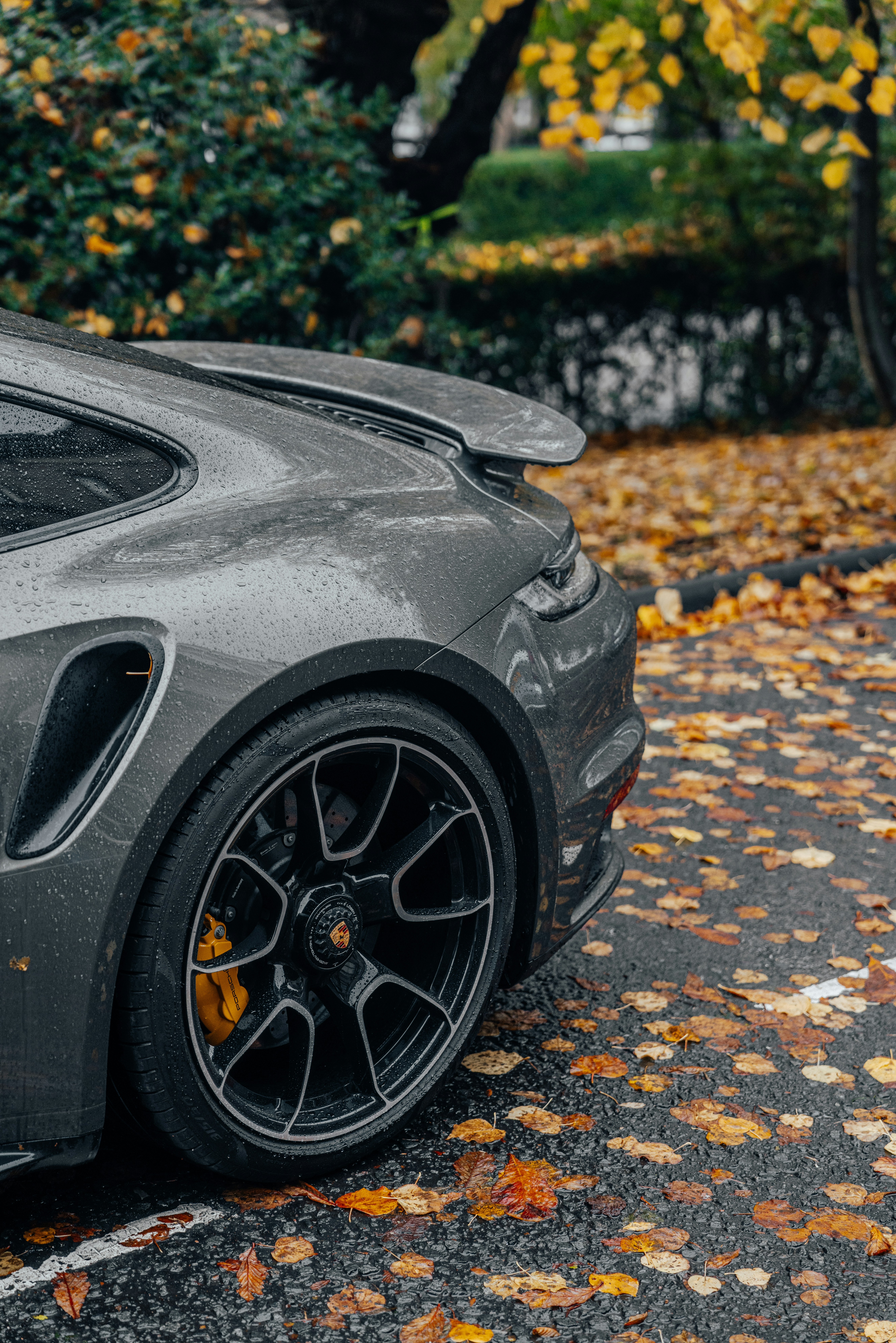 Low-angle rear-quarter of a Porsche GT in autumn street