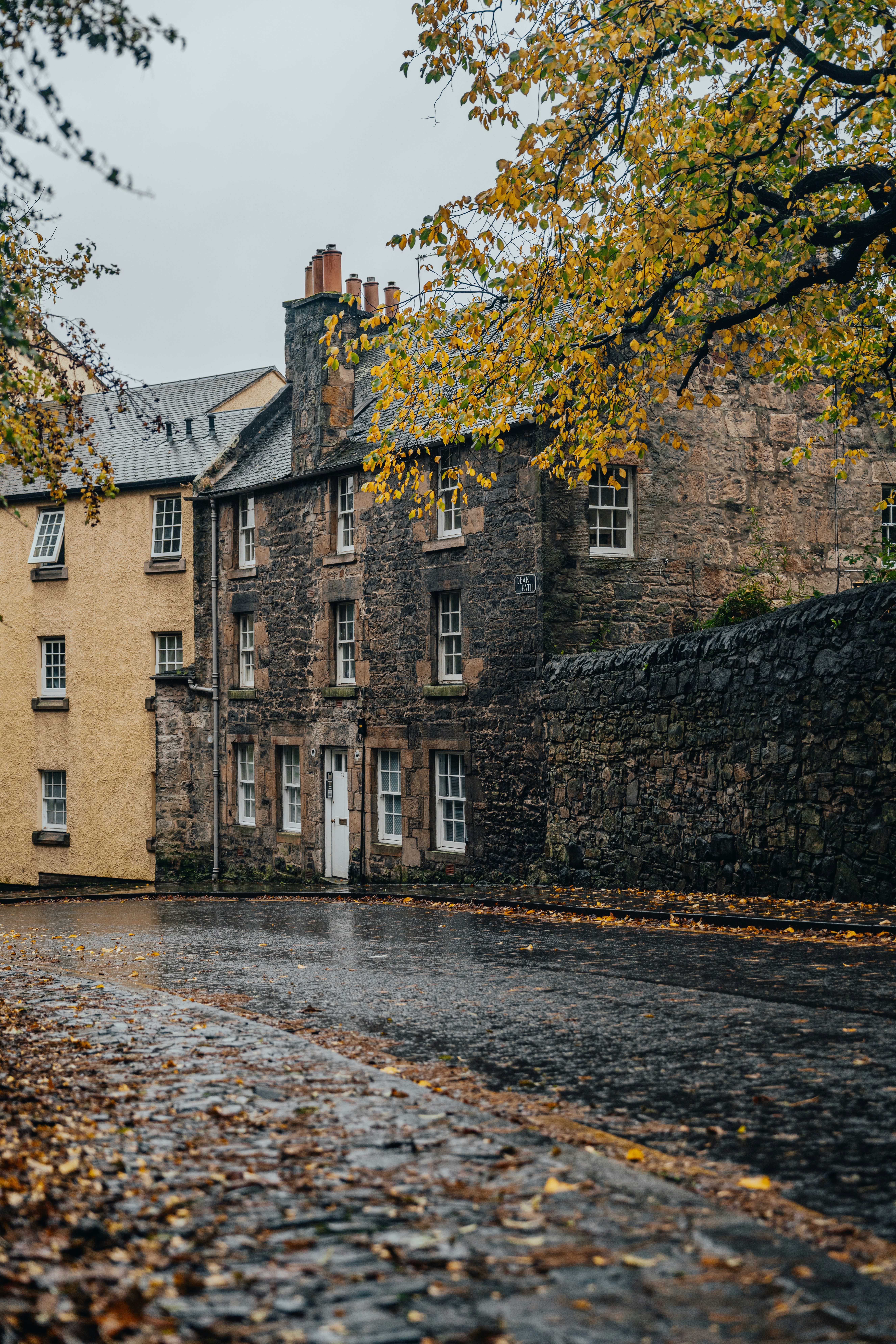 Autumn Alleyways: Mossy stone and rain-washed street