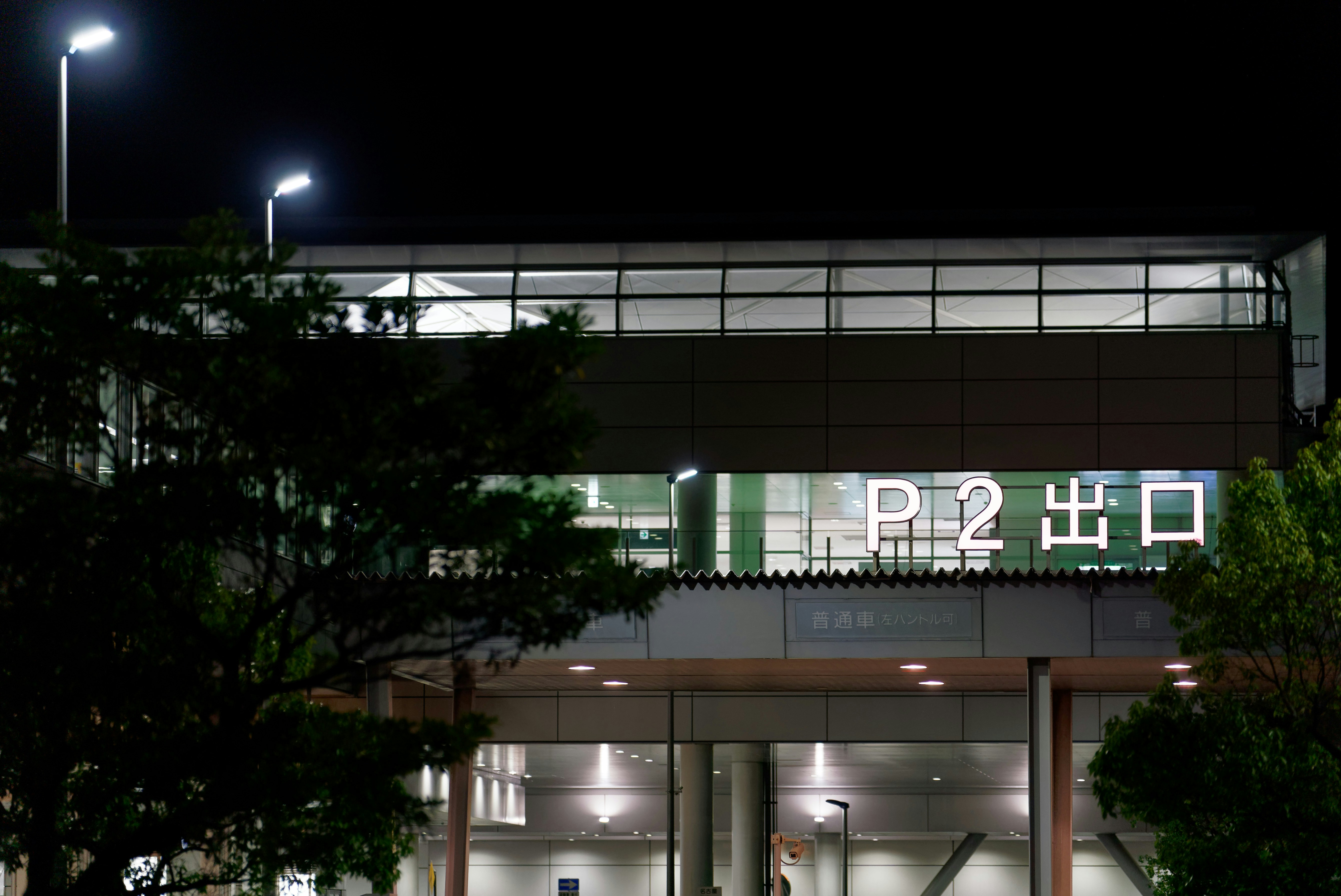 Night Arrival at P2 Gate: Quiet Illumination Under Glass and Trees