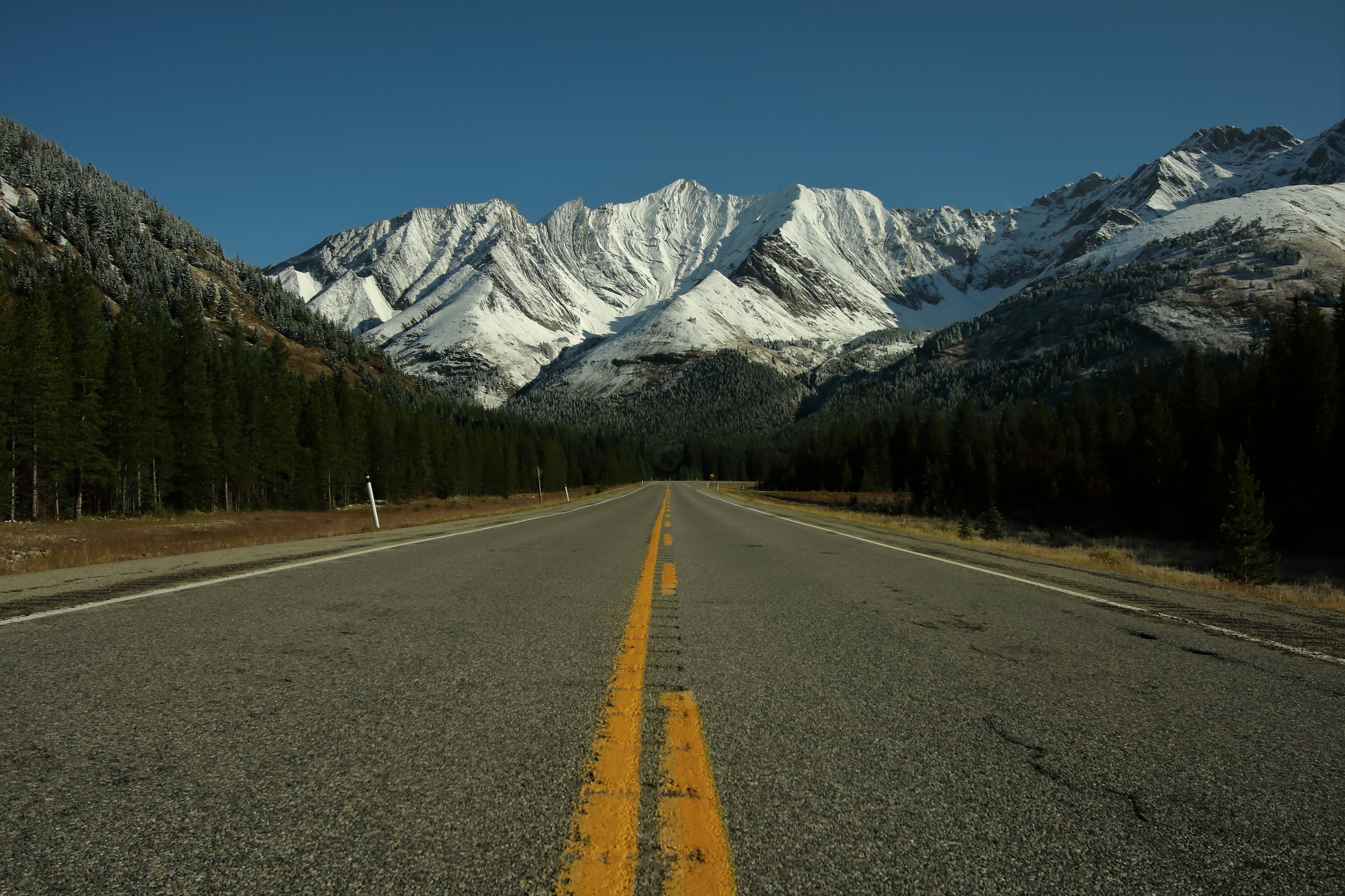 Long Road to Snowbound Peaks