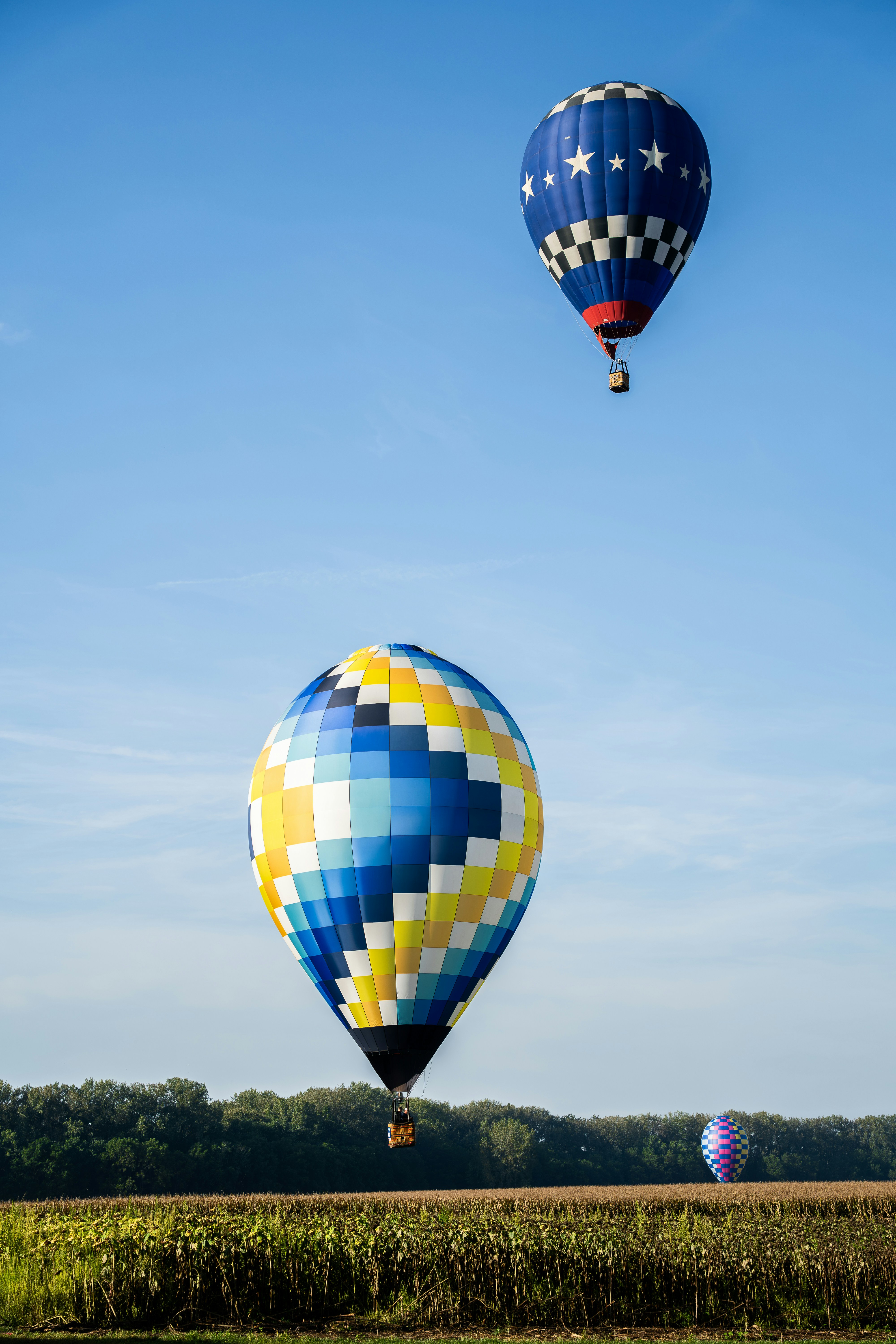 Skyward Dance: Dual Balloons Adrift Above a Golden Field