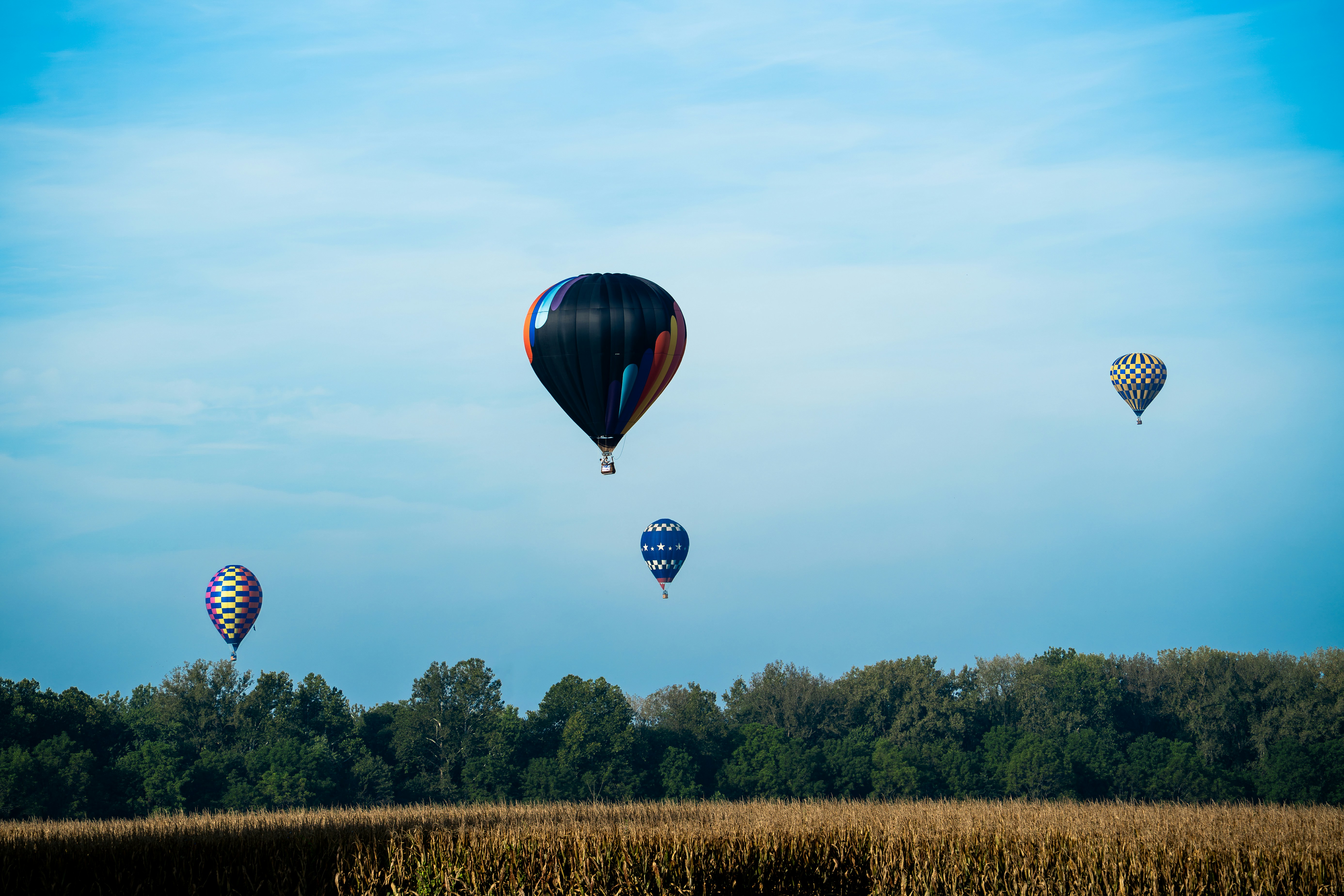 Balloon Armada Above Wheat Field