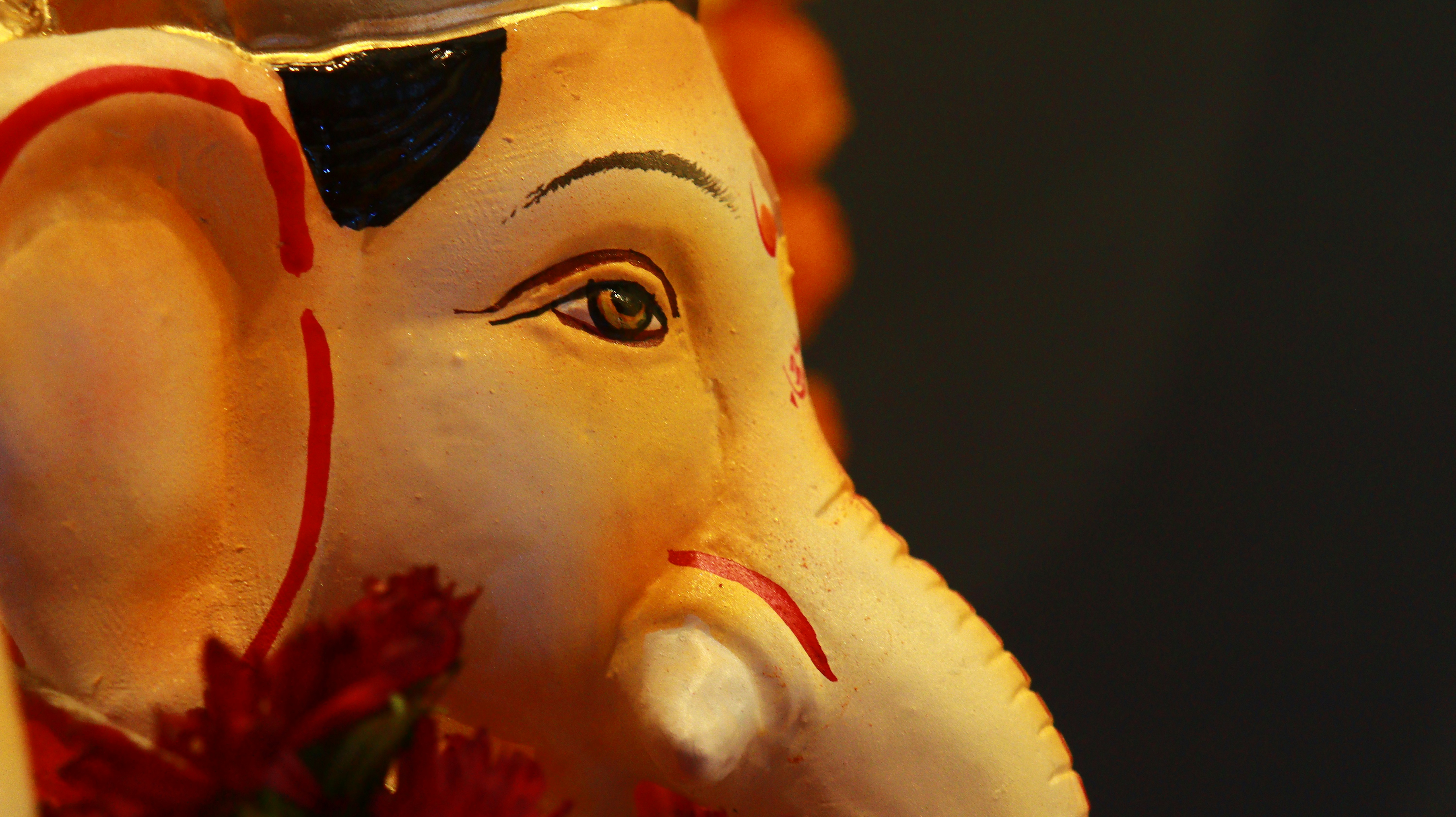 Close-up of a decorative Ganesha statue focusing on the eye and trunk, highlighting painted features and textures in warm lighting.