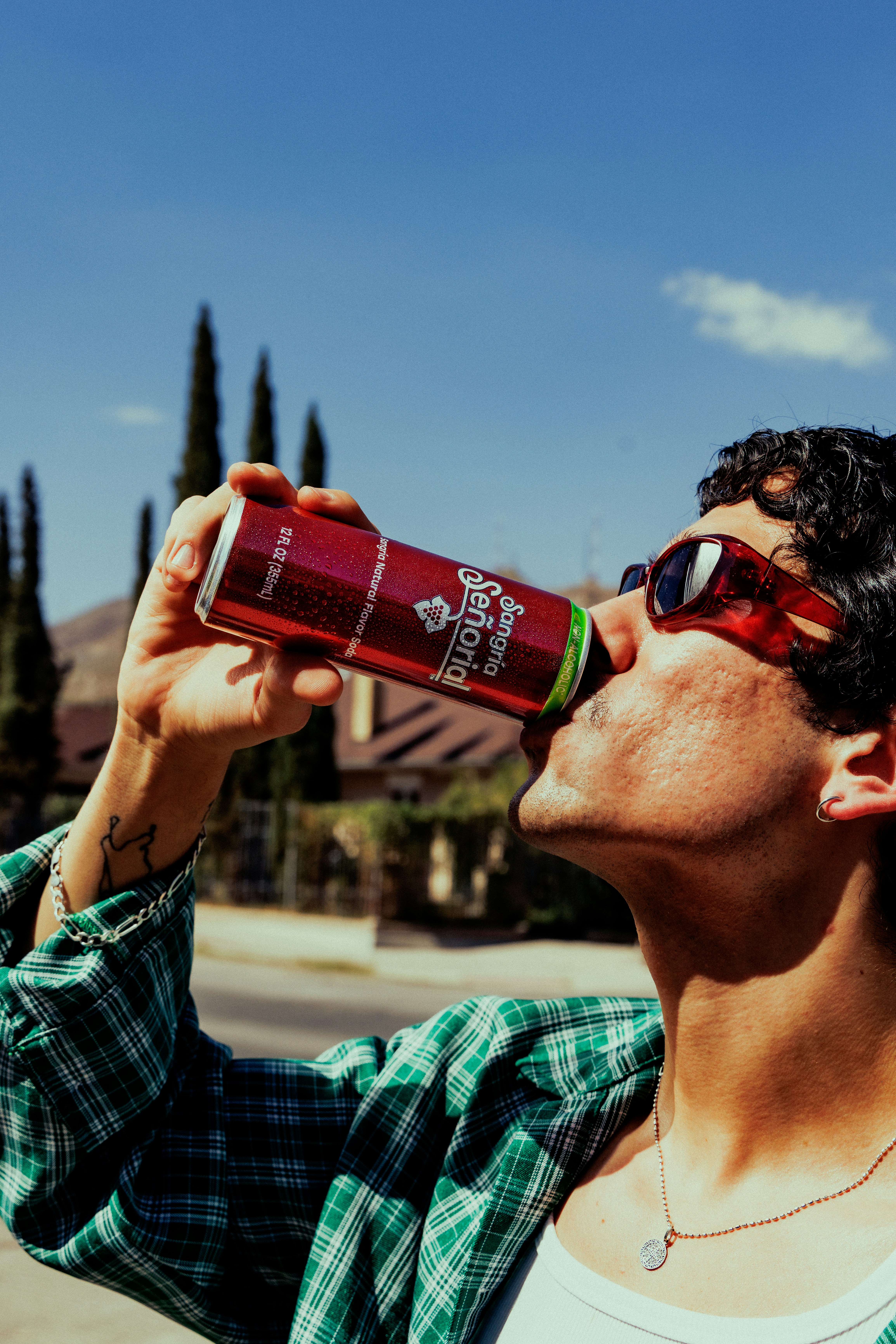Sunlit Sips: A Lively Can of Brew Tilted Toward the Sun