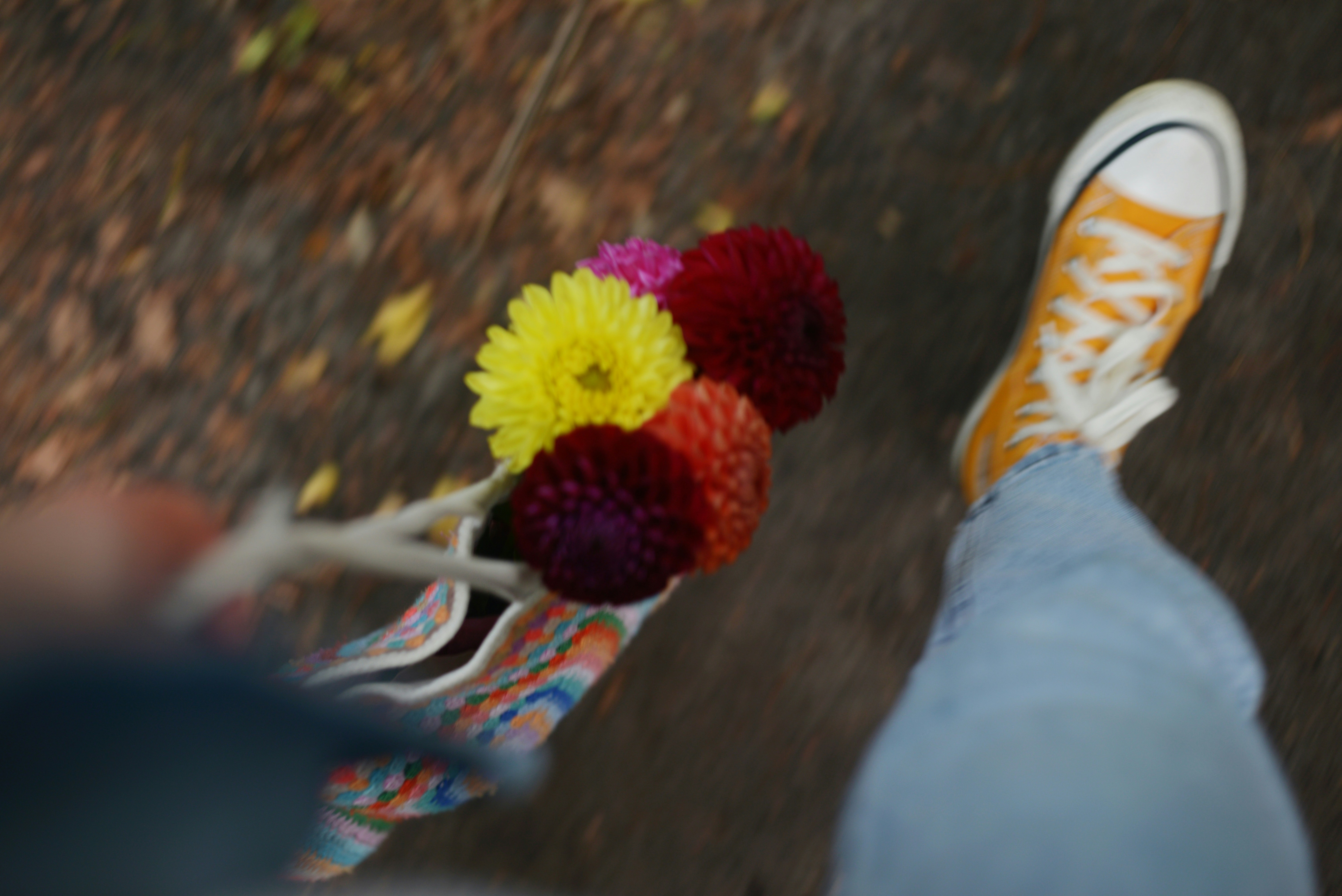 Bouquet in Motion: A Step Toward Color
