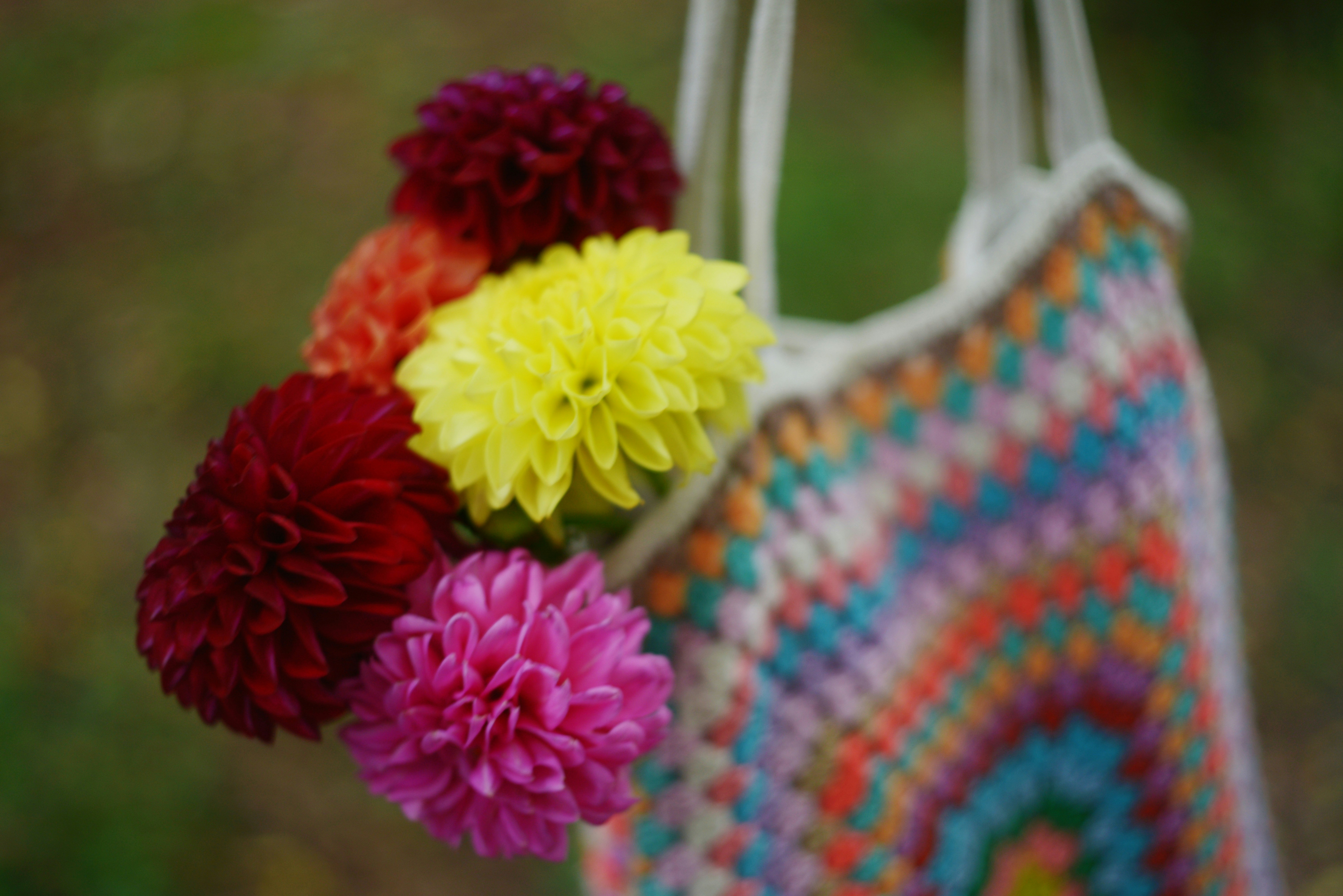 Colorful Pompon Bouquet Dangling from a Crochet Tote