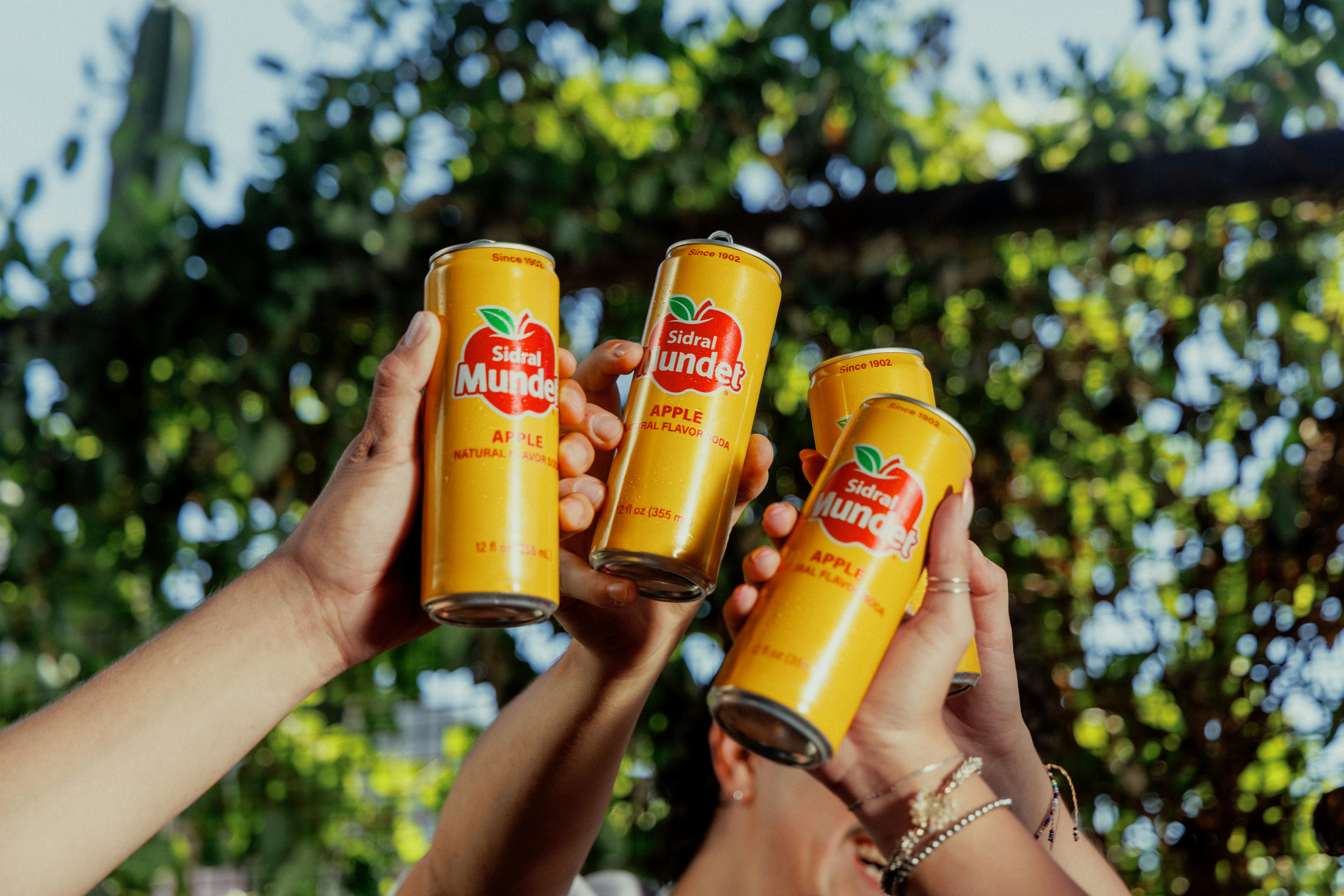 Cheerful Can-Collective: Toasting with Bright Citrus Cheers