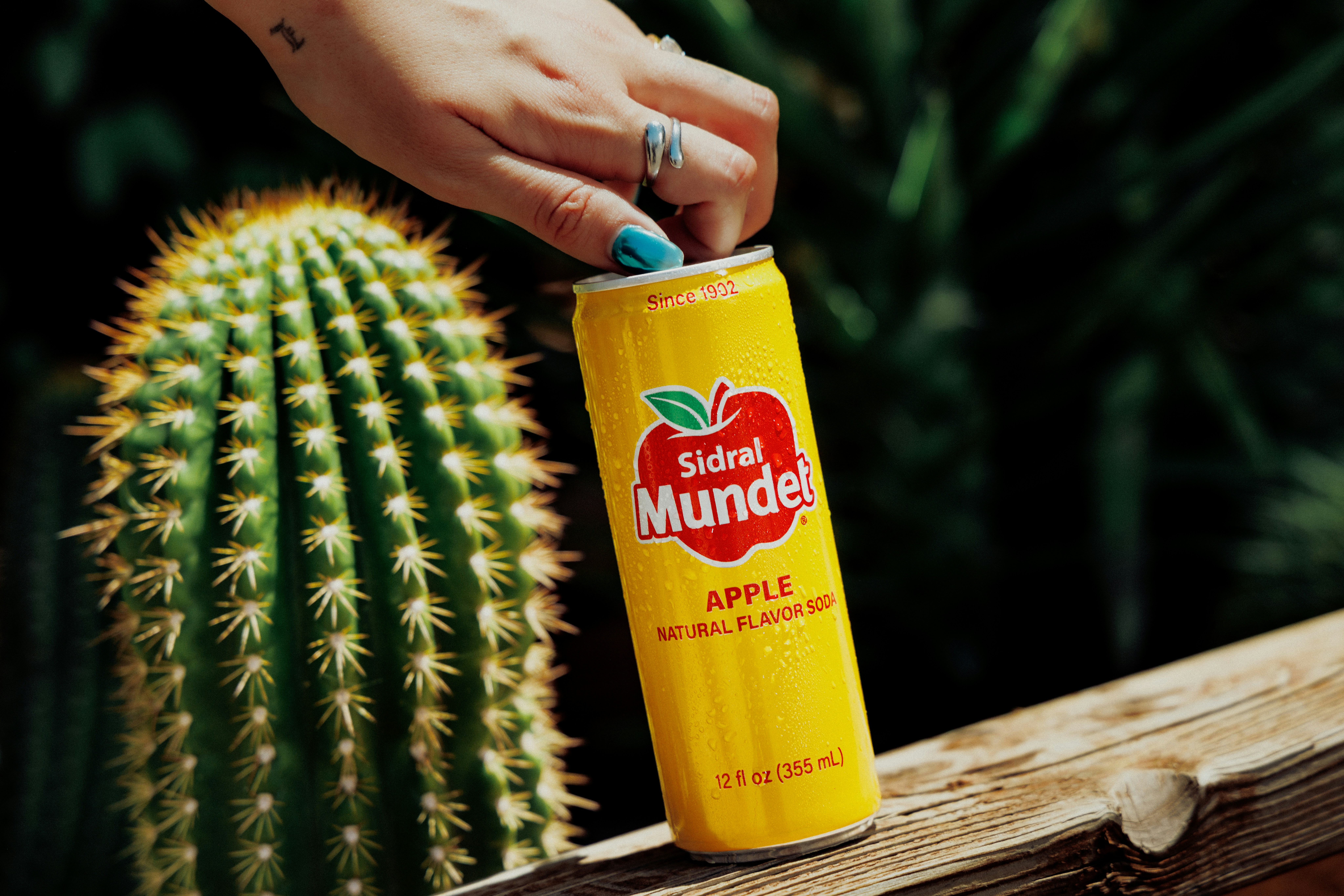 Citrus in Hand: A Quick Lift on a Sunny Dry Day